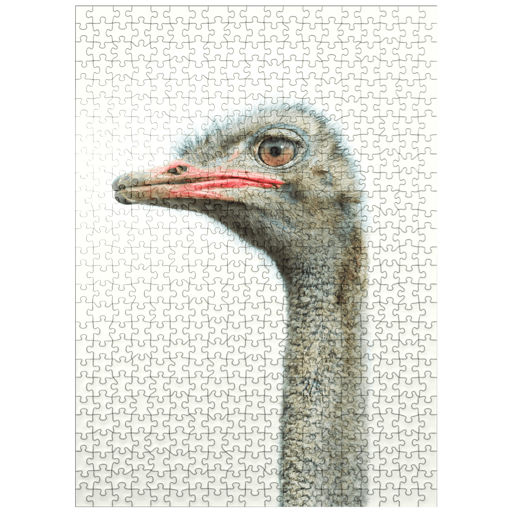 MyPuzzle - Ostrich Head - Premium 500 Piece Jigsaw Puzzle for Adults ...
