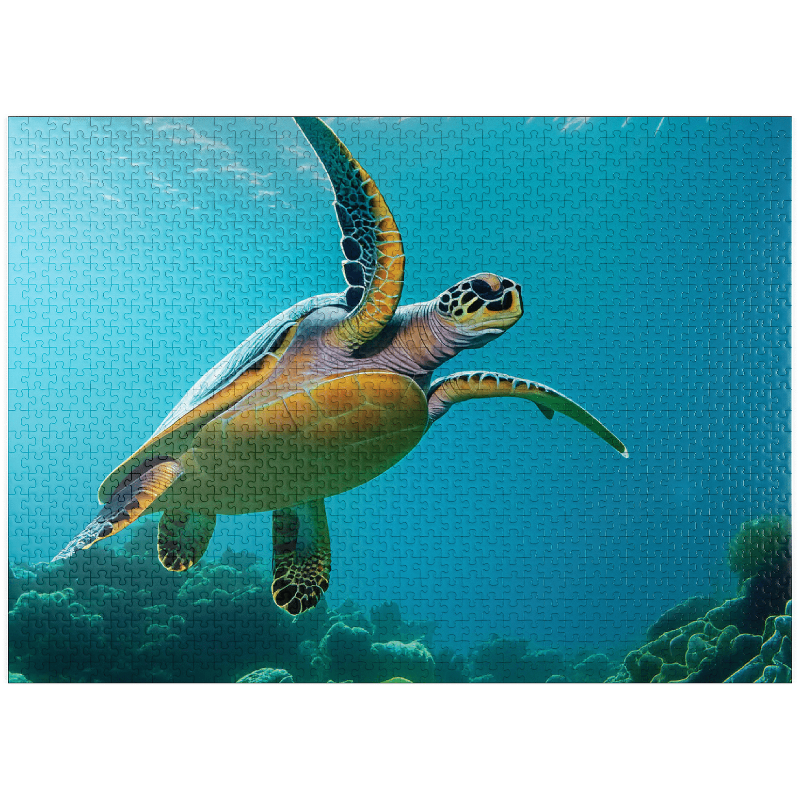 MyPuzzle - Sea Life: Sea Turtle - Premium 1000 Piece Jigsaw Puzzle for ...