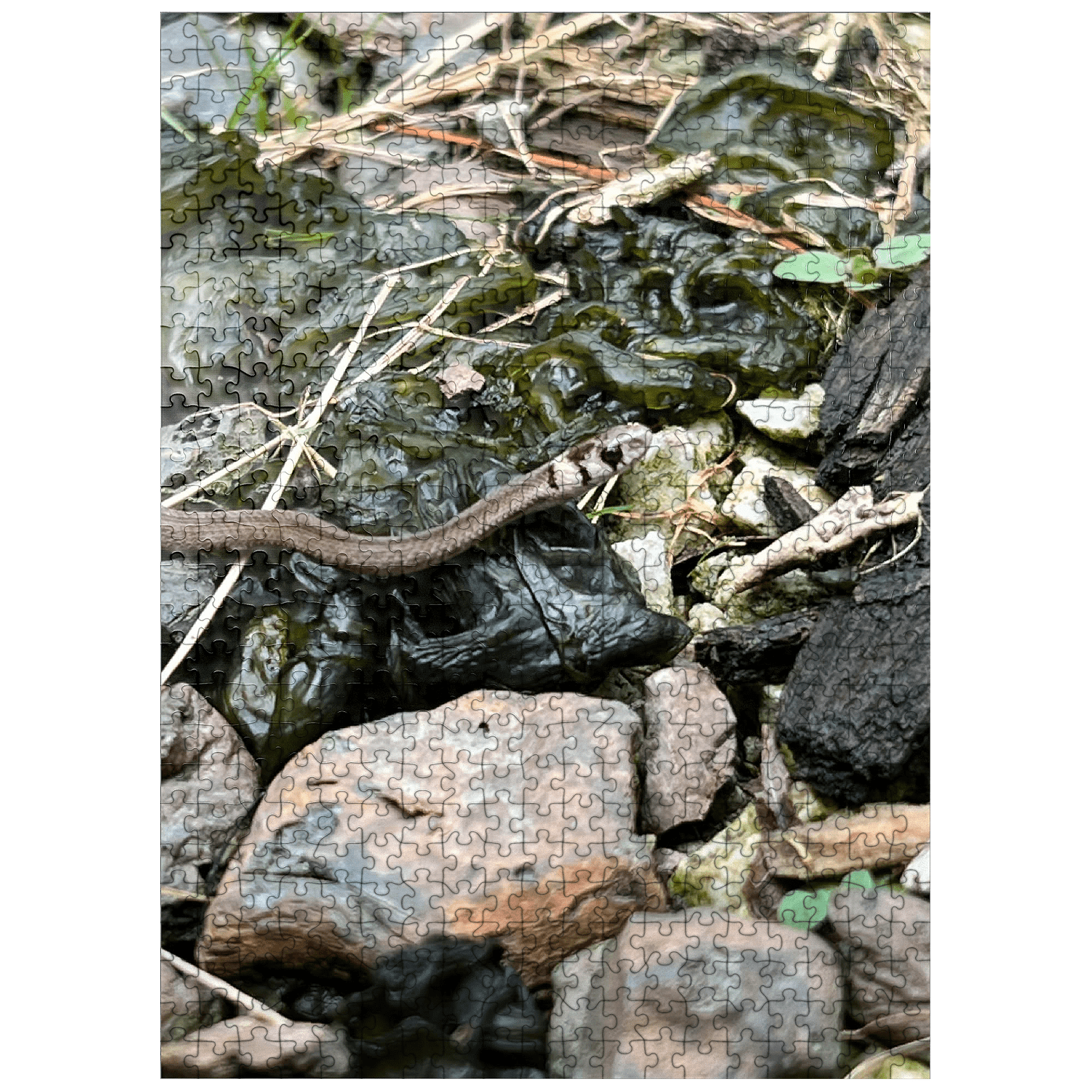 MyPuzzle - Snake Adventure - Premium 500 Piece Jigsaw Puzzle for Adults ...