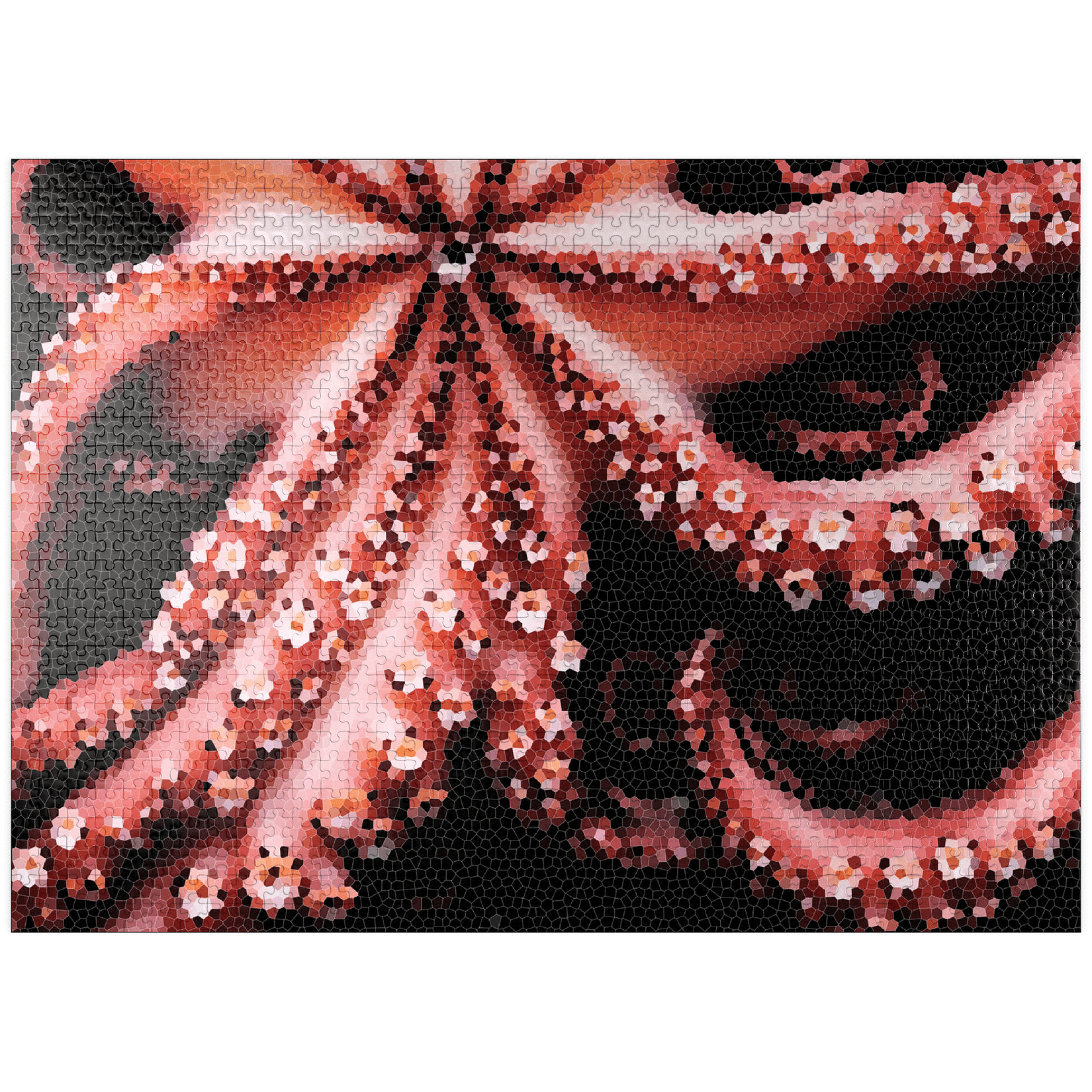 MyPuzzle - Stained Glass Abstract: Ocean Octopus Transformation ...