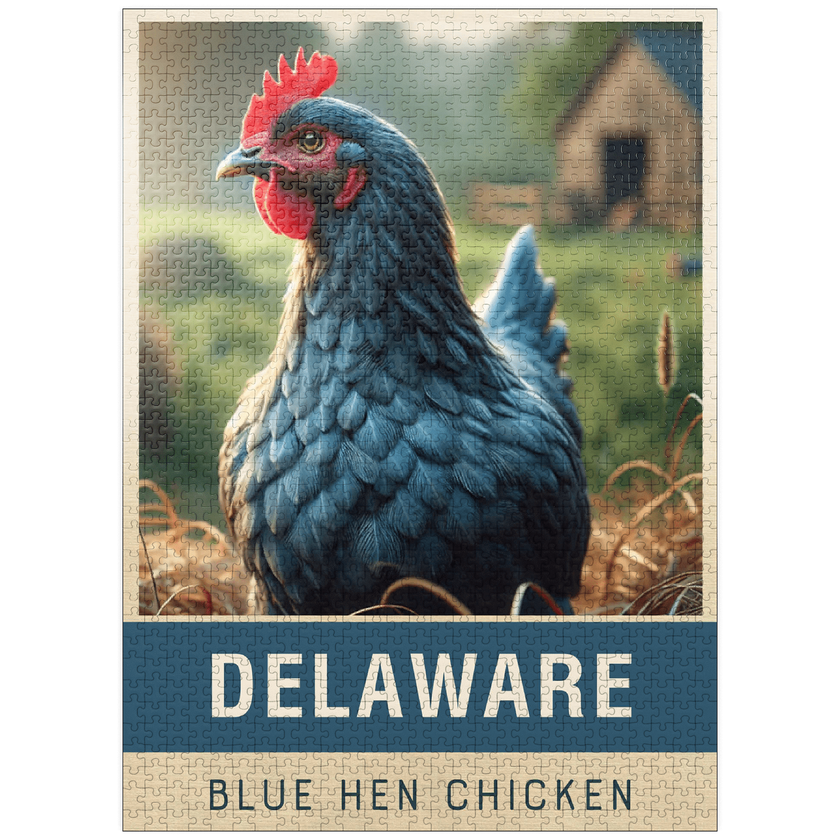 MyPuzzle - State Birds Series: Delaware, Blue Hen Chicken - Premium ...