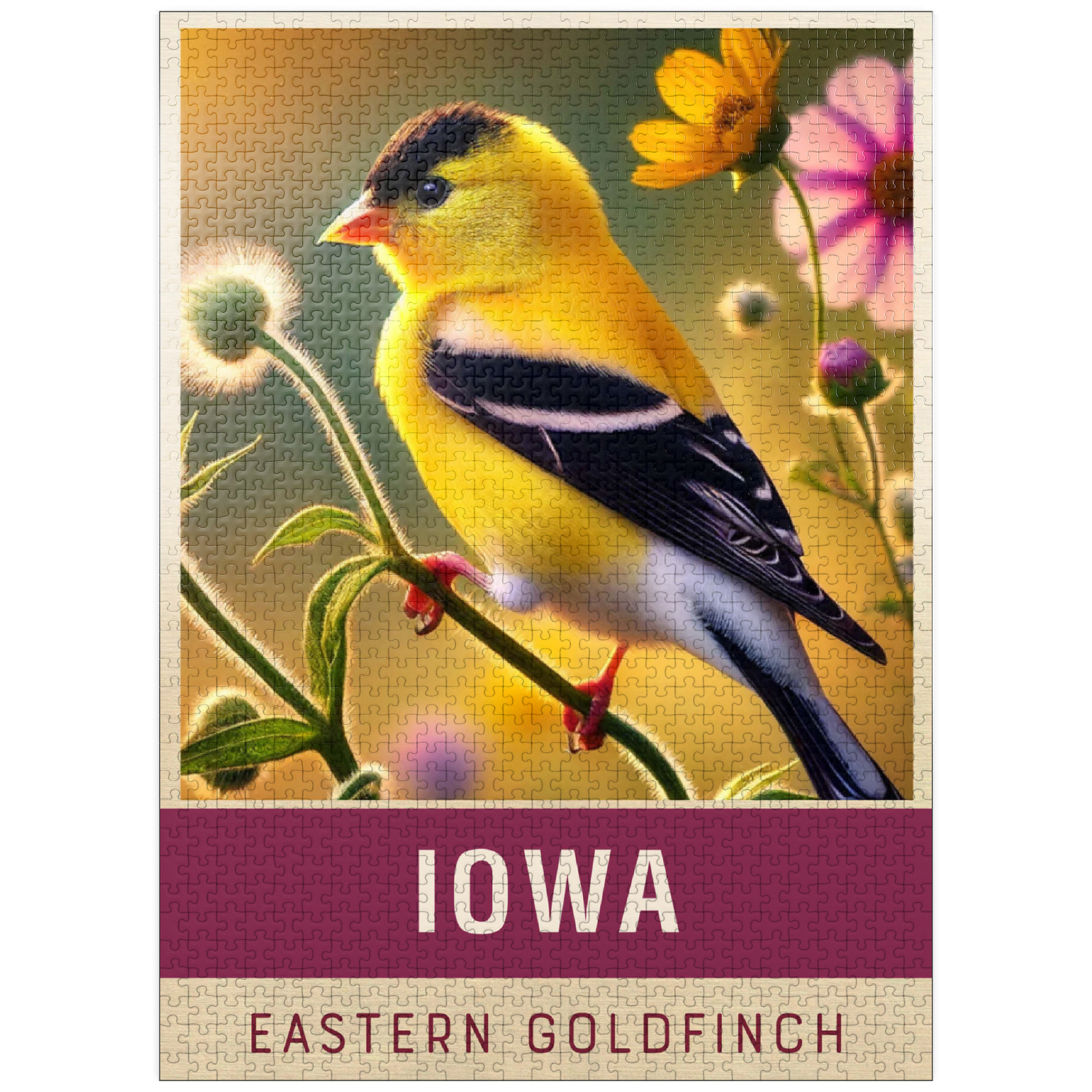 MyPuzzle - State Birds Series: Iowa, Eastern Goldfinch - Premium 1000 ...