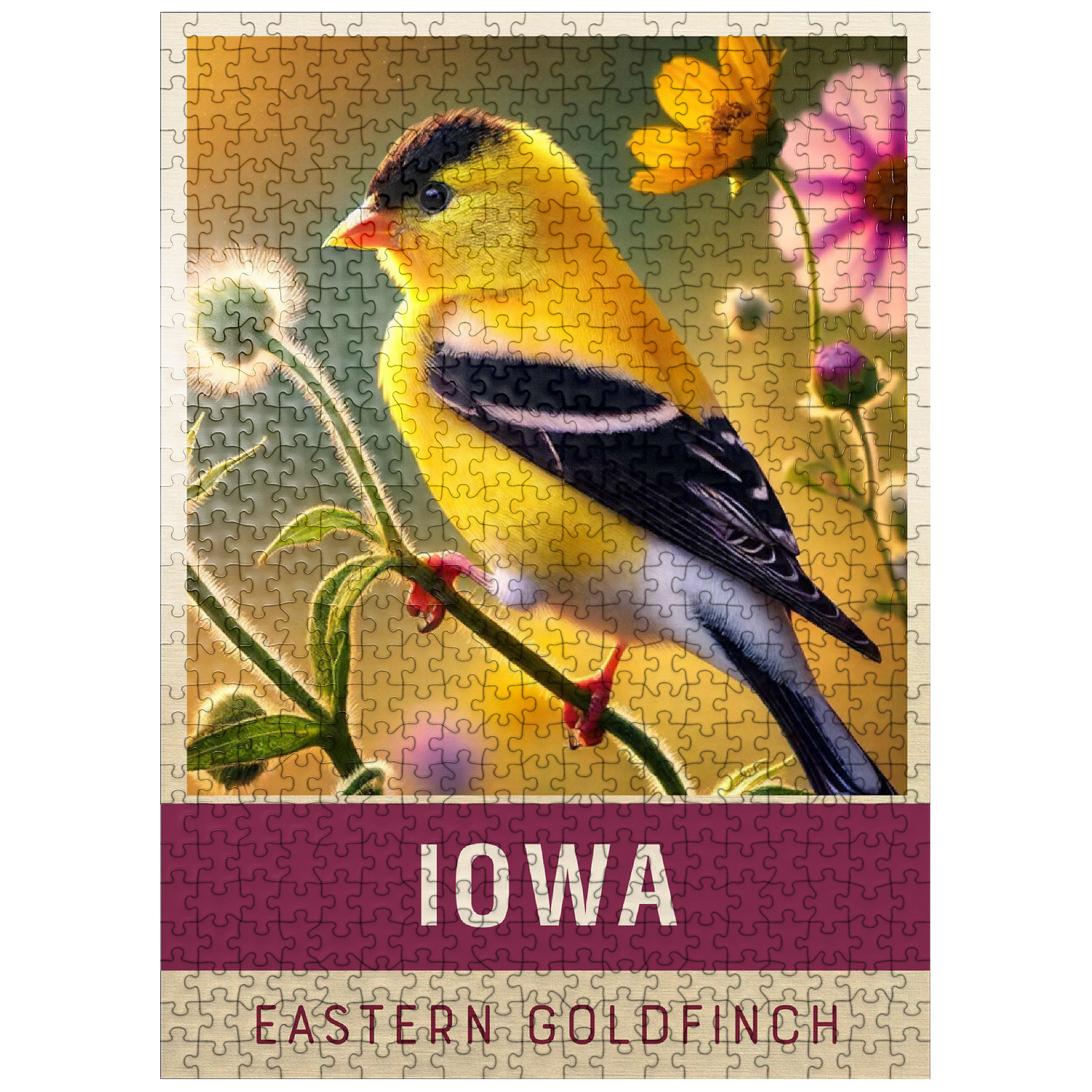 MyPuzzle - State Birds Series: Iowa, Eastern Goldfinch - Premium 500 ...