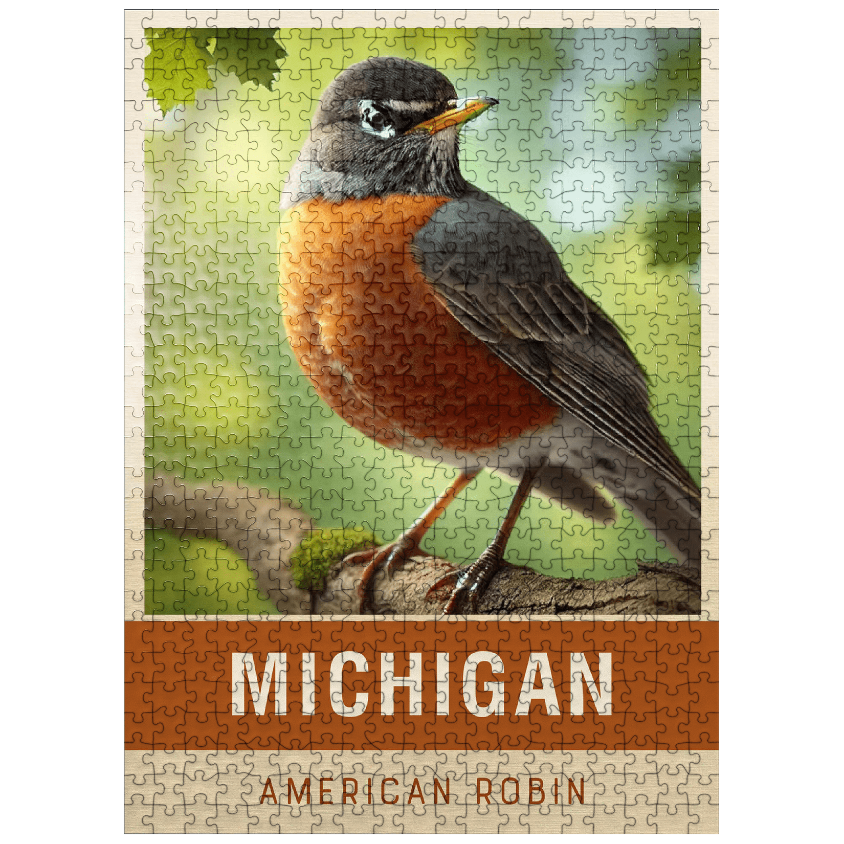 MyPuzzle - State Birds Series: Michigan, American Robin - Premium 500 ...