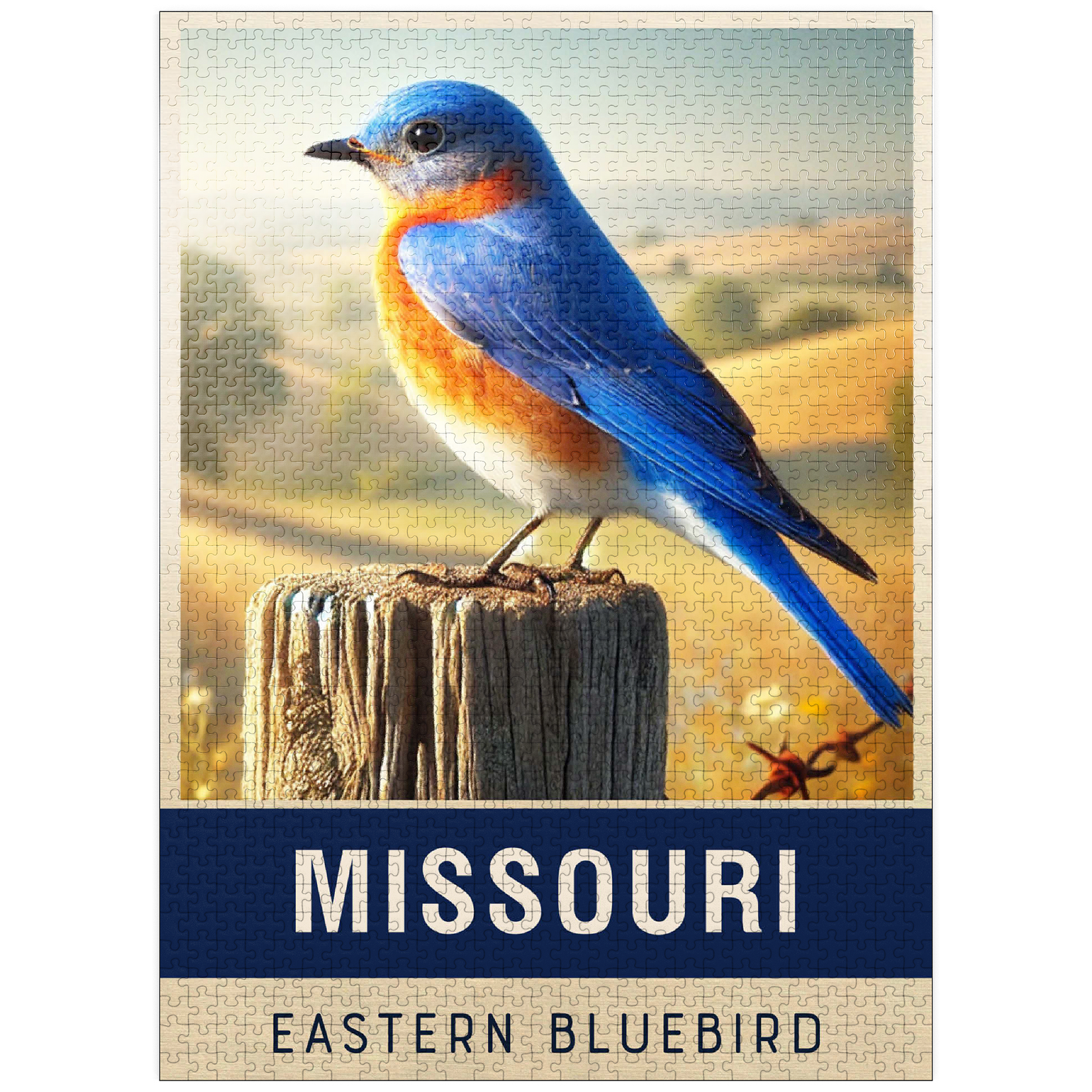 MyPuzzle - State Birds Series: Missouri, Eastern Bluebird - Premium ...