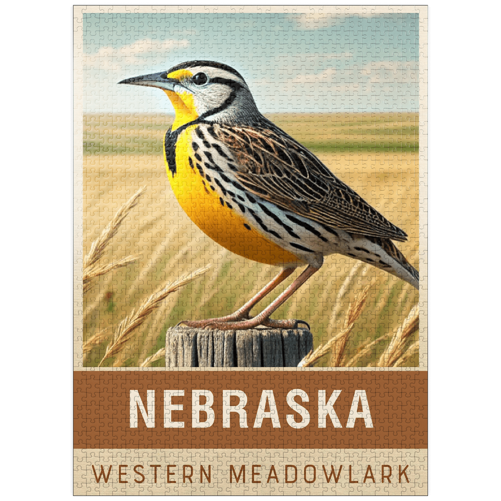 MyPuzzle - State Birds Series: Nebraska, Western Meadowlark - Premium ...