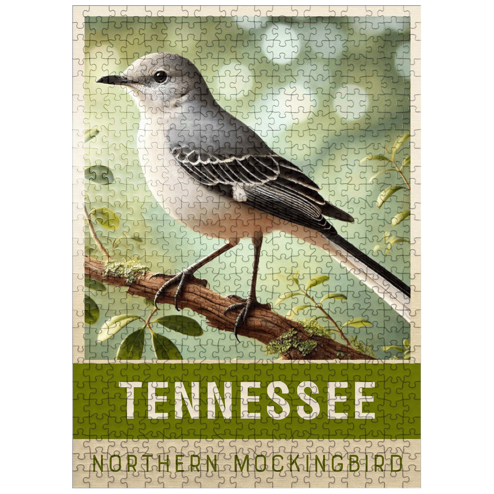 MyPuzzle - State Birds Series: Tennessee, Northern Mockingbird ...