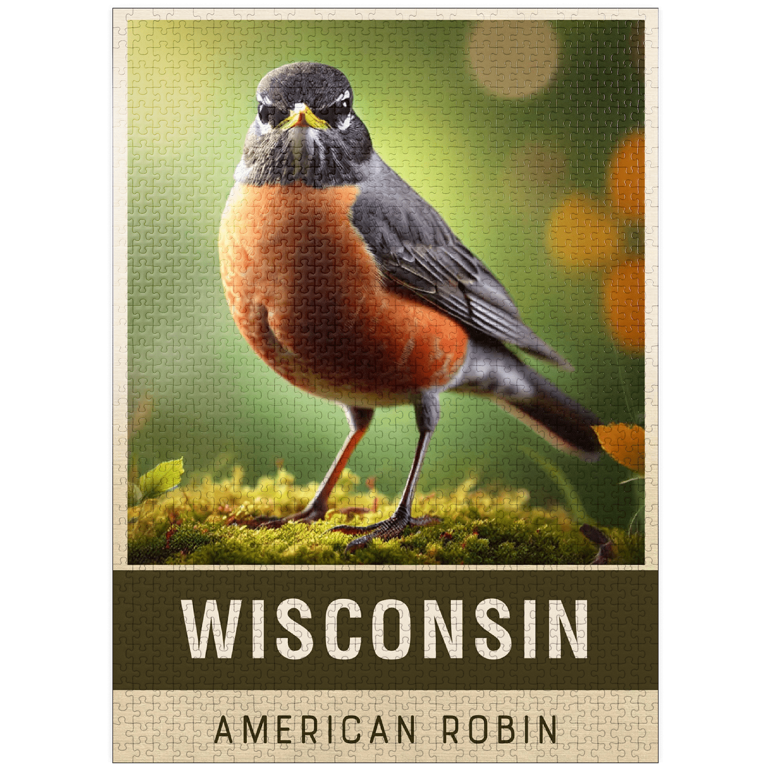 MyPuzzle - State Birds Series: Wisconsin, American Robin - Premium 1000 ...