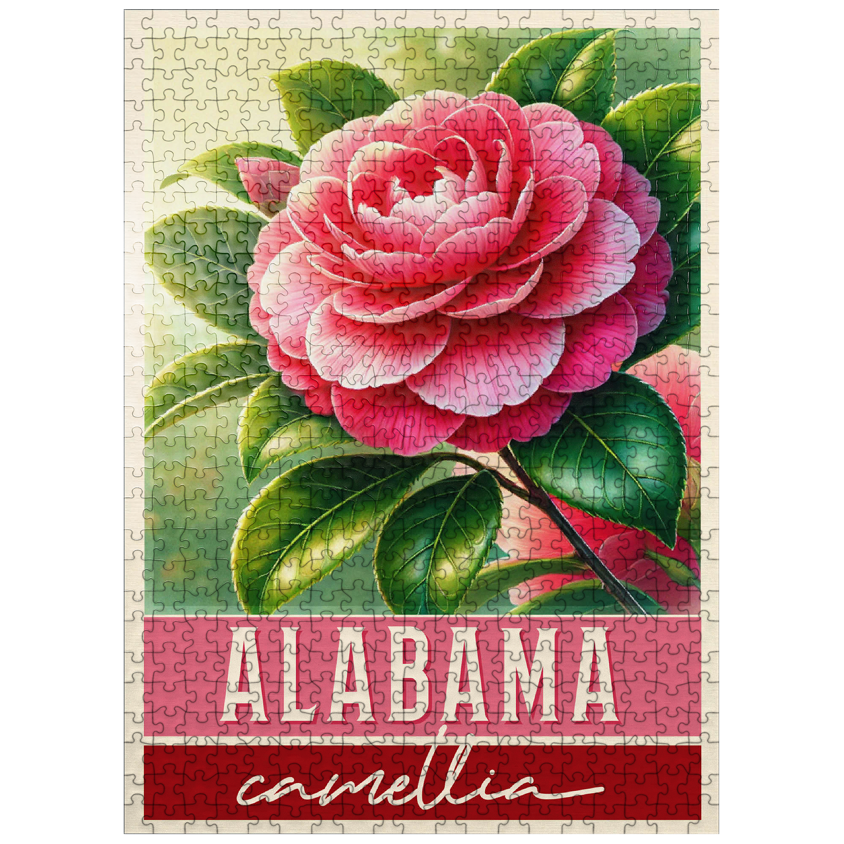MyPuzzle - State Flowers Series: Alabama, Camellia - Premium 500 Piece ...
