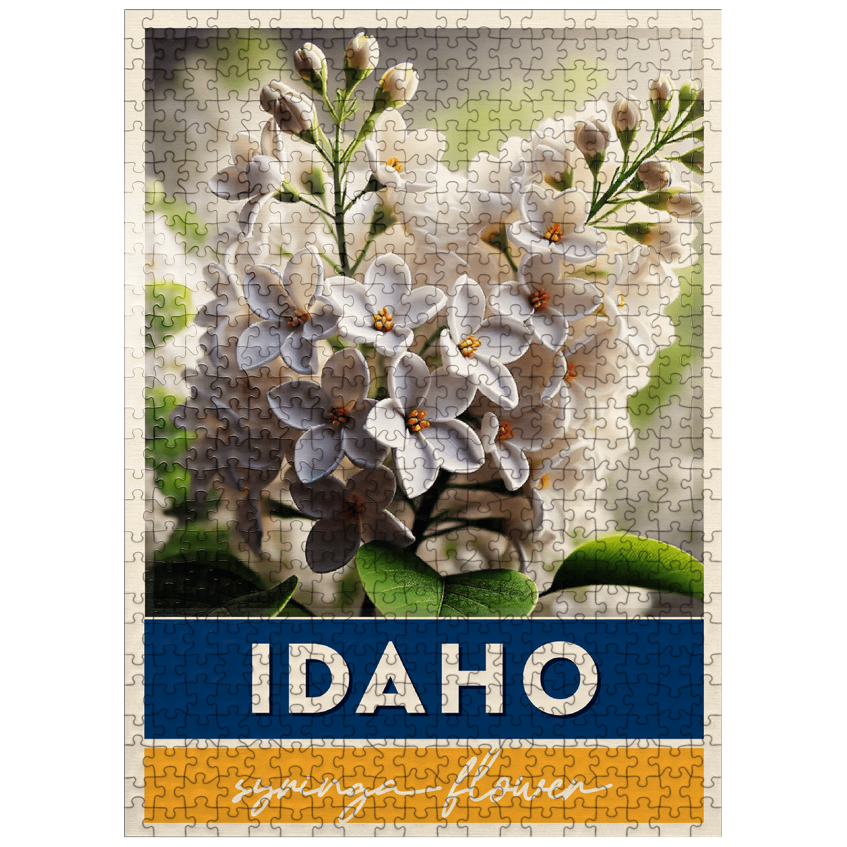 MyPuzzle - State Flowers Series: Idaho, Syringa - Premium 500 Piece ...