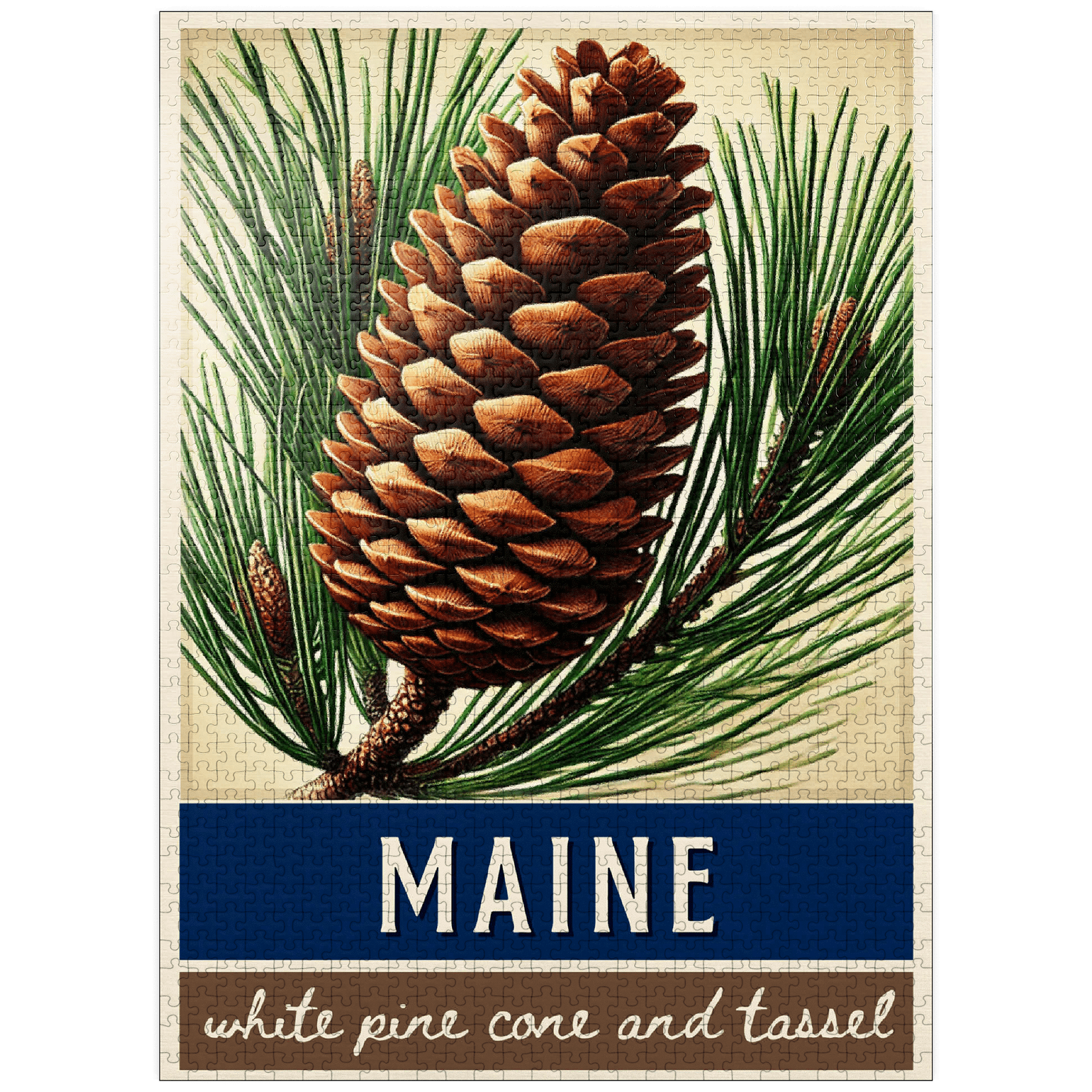 MyPuzzle - State Flowers Series: Maine, Pine Cone & Tassel - Premium ...