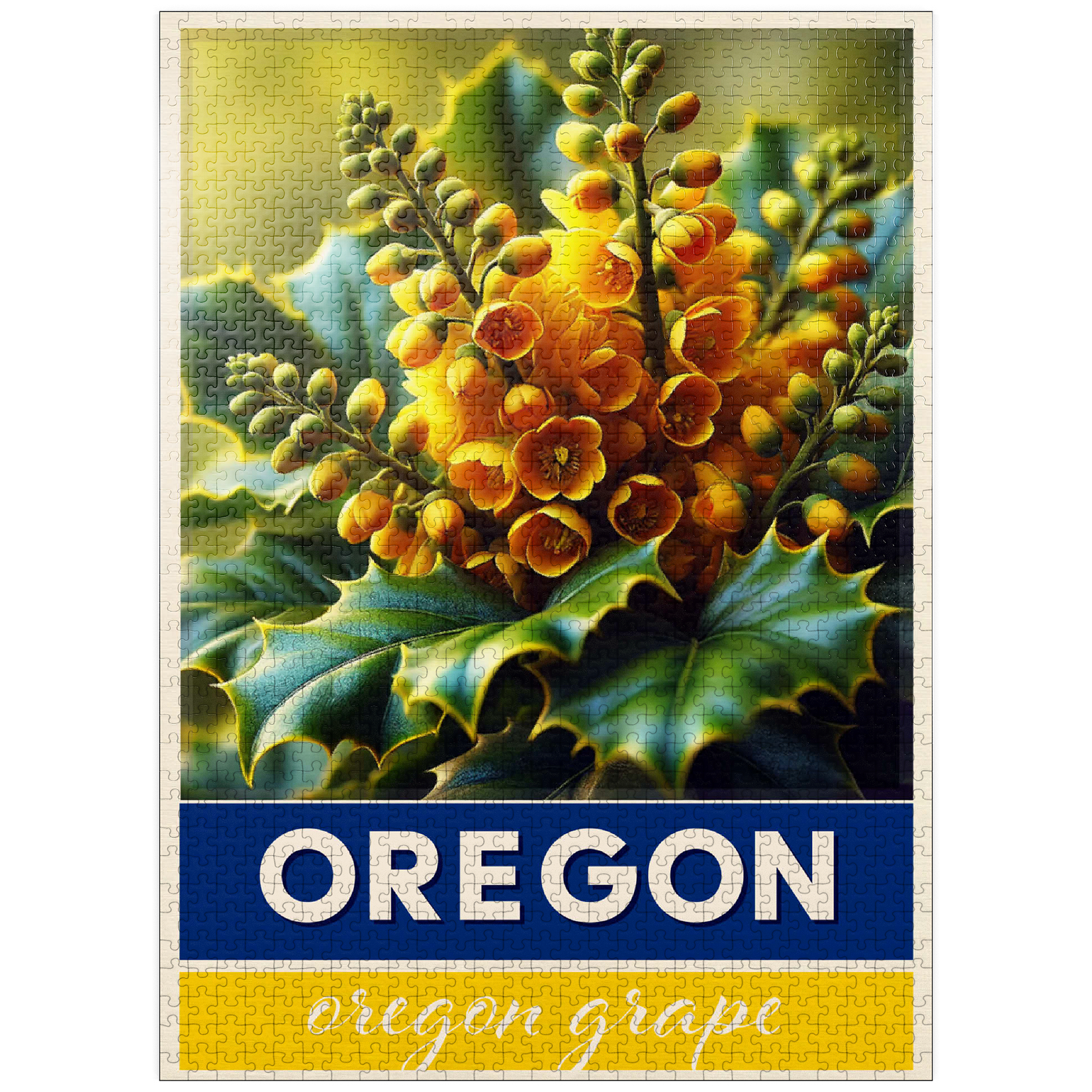 MyPuzzle - State Flowers Series: Oregon, Oregon Grape - Premium 1000 ...