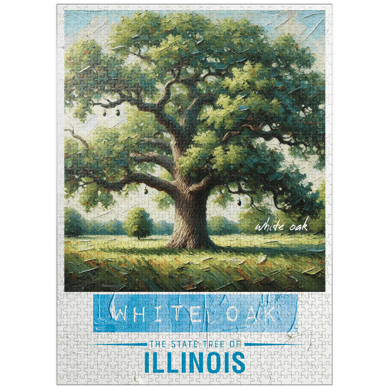 MyPuzzle - State Trees Series: Illinois, White Oak - Premium 1000 Piece ...
