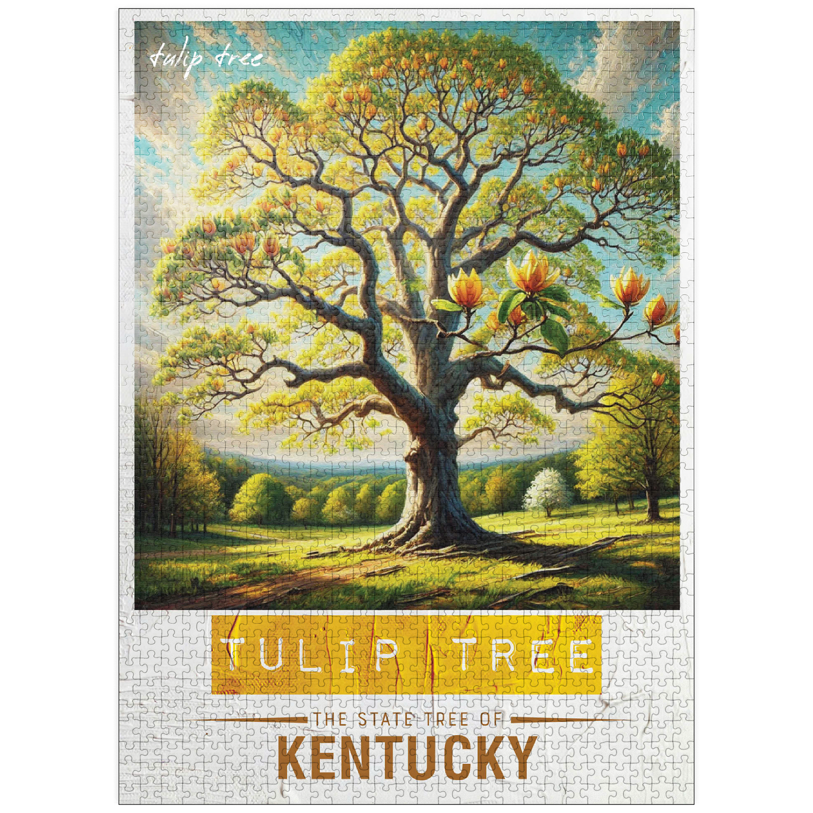 MyPuzzle - State Trees Series: Kentucky, Tulip Tree - Premium 1000 ...