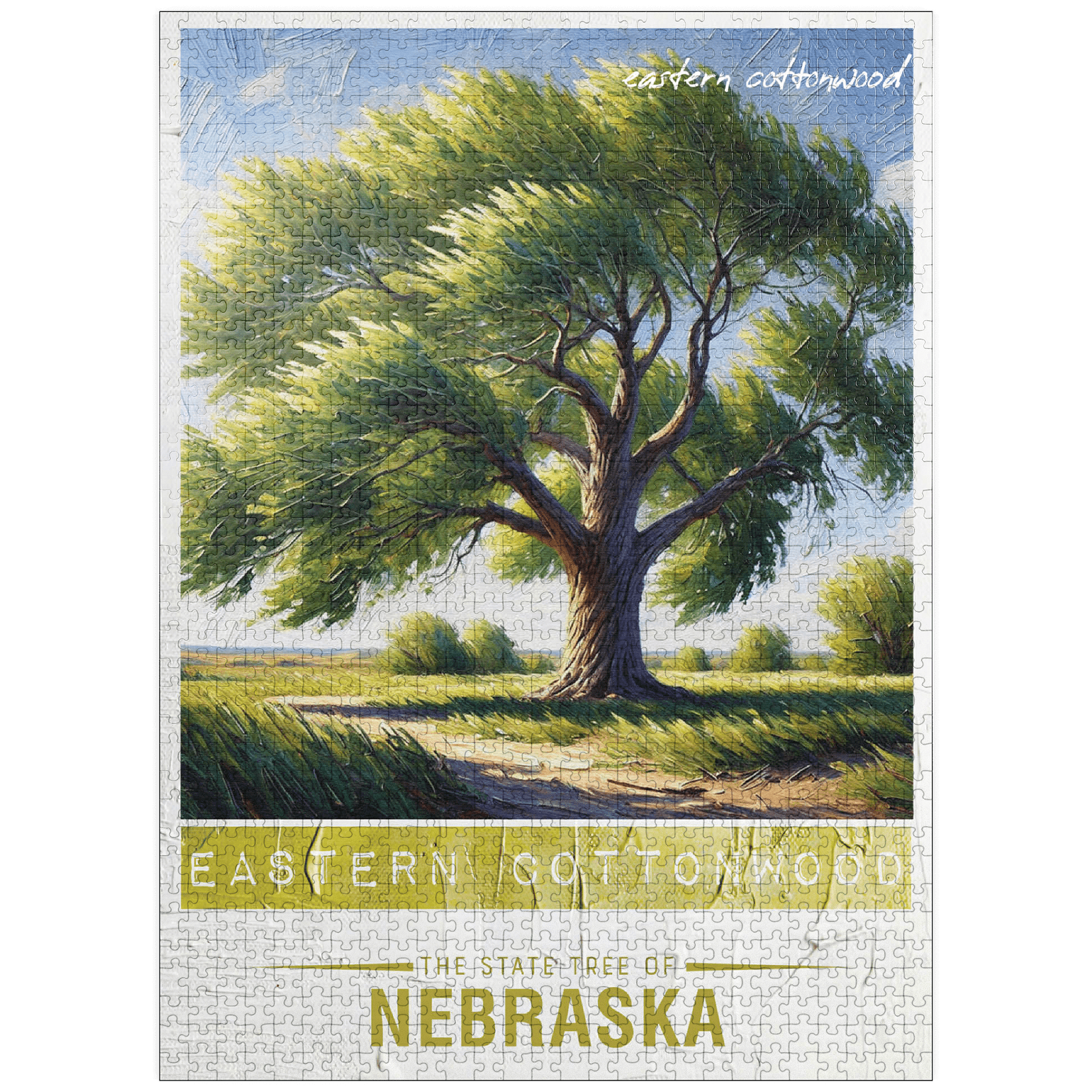 MyPuzzle - State Trees Series: Nebraska, Eastern Cottonwood - Premium ...