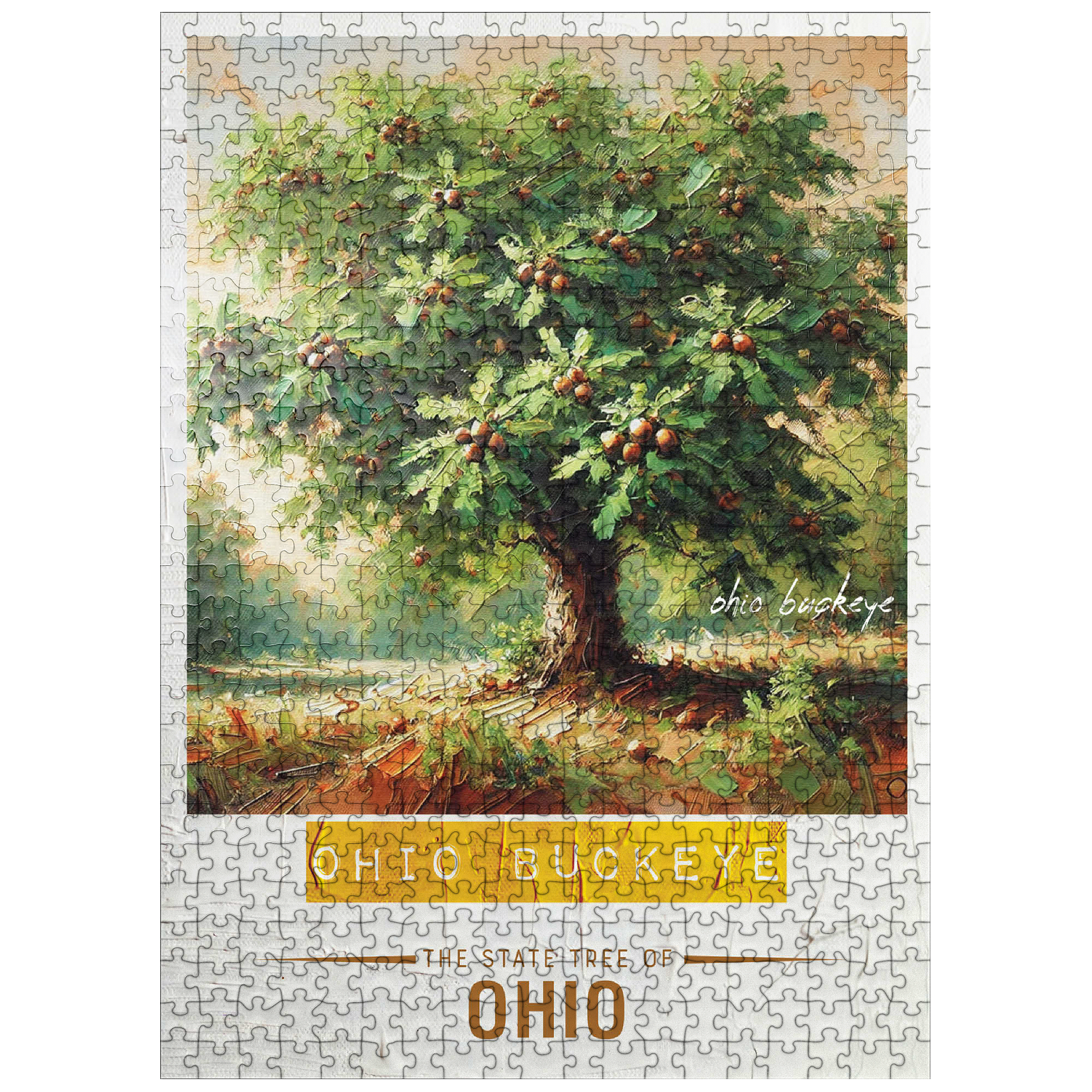 MyPuzzle - State Trees Series: Ohio, Ohio Buckeye - Premium 500 Piece ...