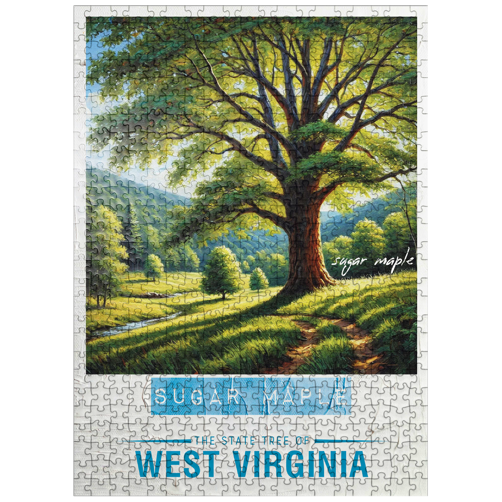 MyPuzzle - State Trees Series: West Virginia, Sugar Maple - Premium 500 ...