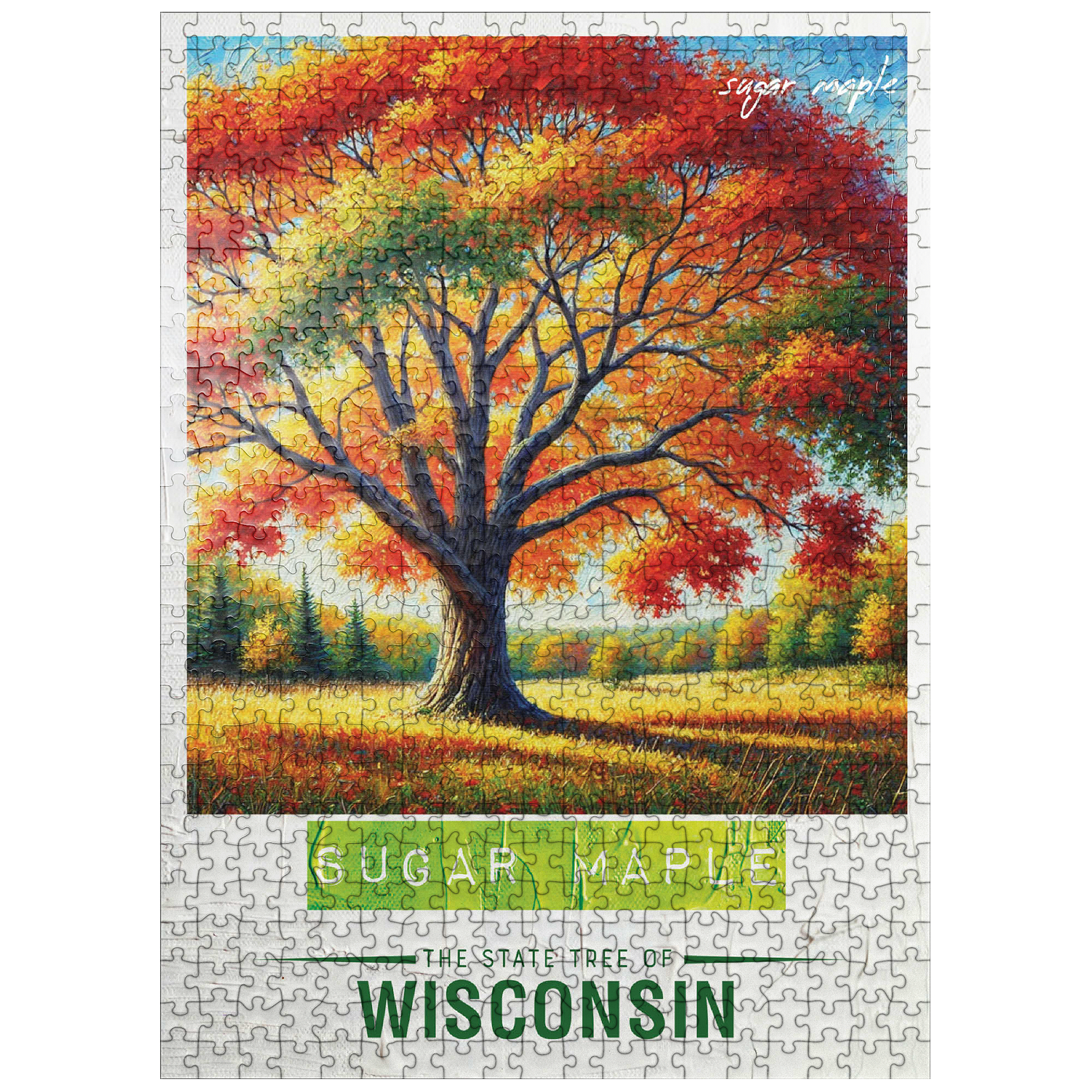 MyPuzzle - State Trees Series: Wisconsin, Sugar Maple - Premium 500 ...
