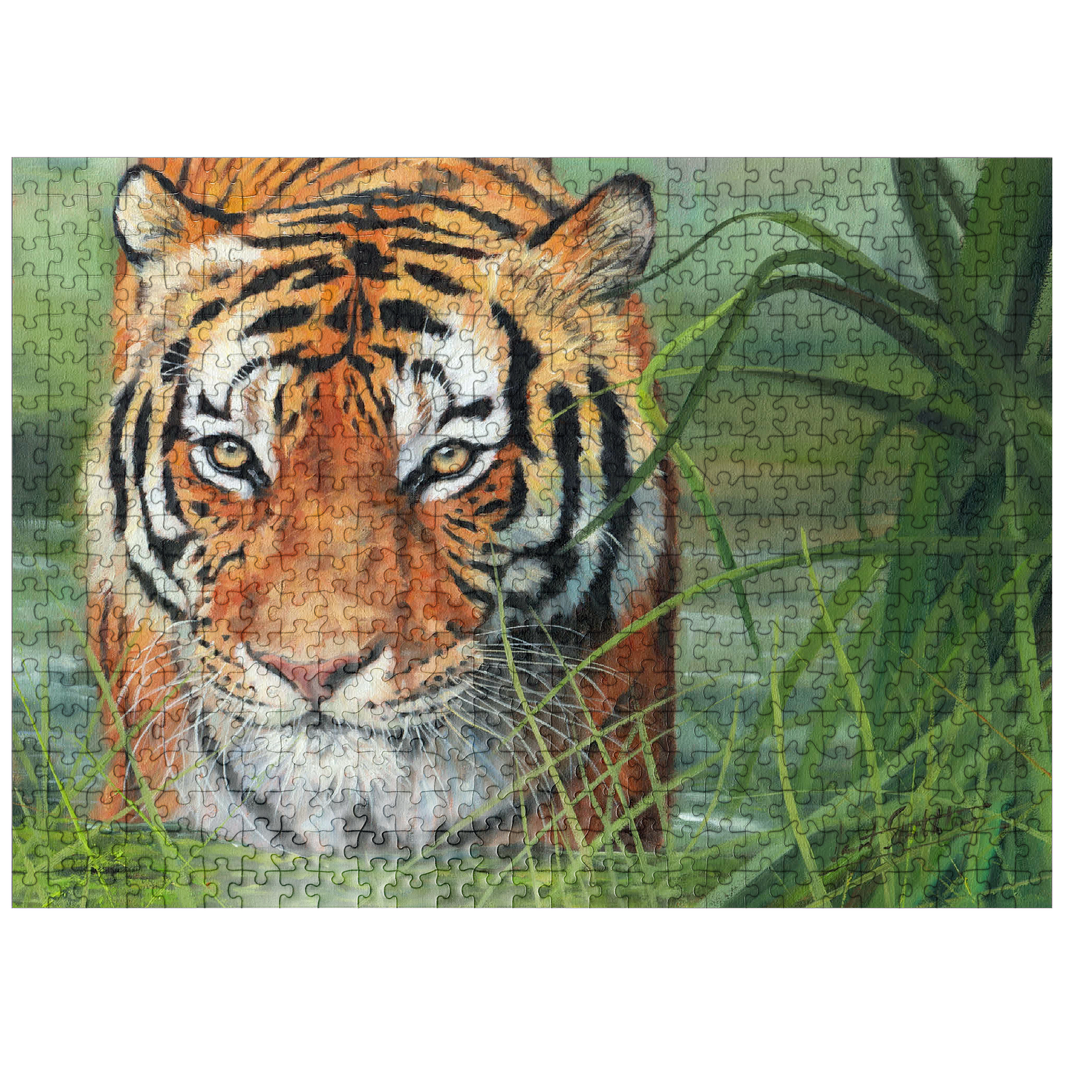 MyPuzzle - Tiger Stalking Through Lush Wetlands - Premium 500 Piece ...