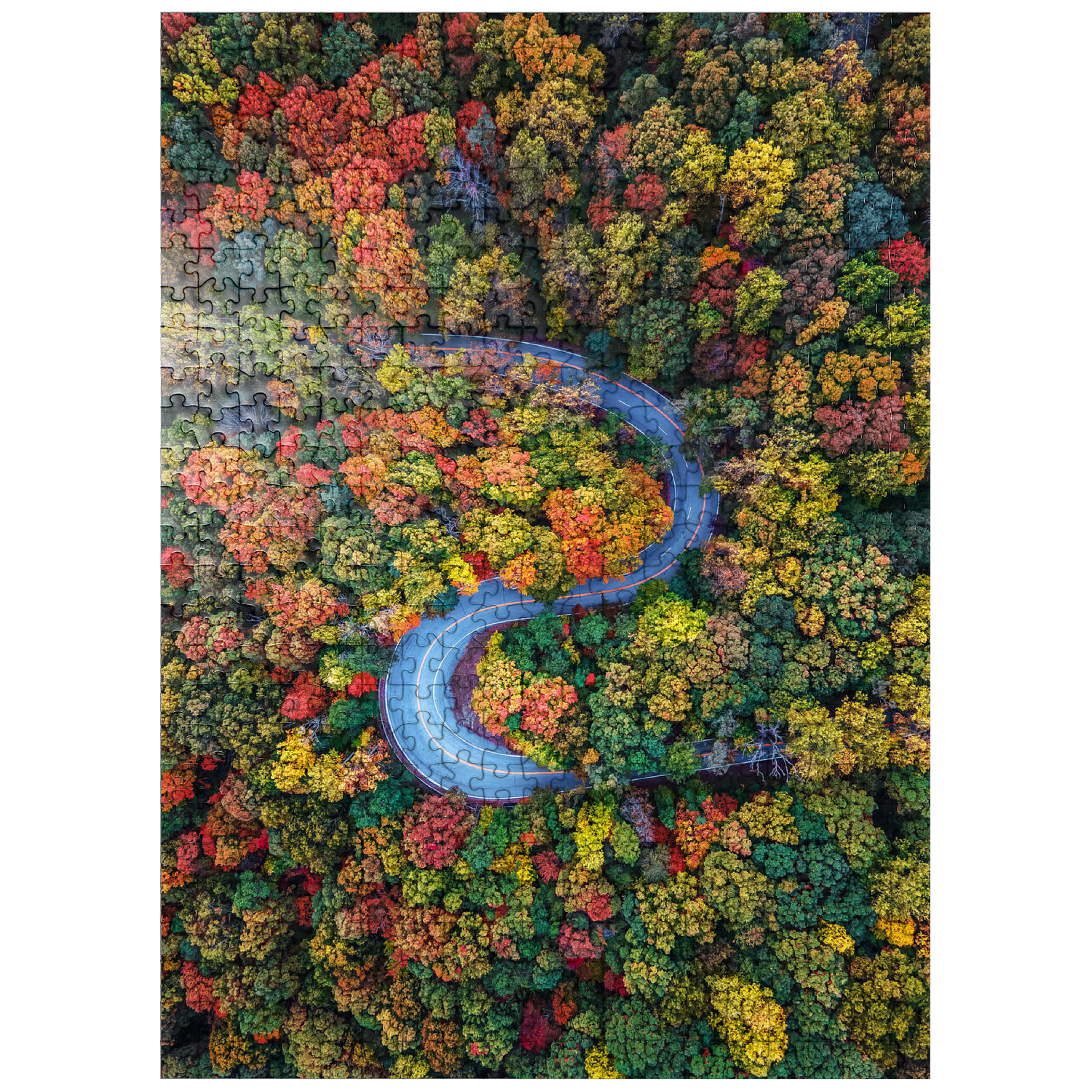 MyPuzzle - Winding Road Through Dense Autumn Forest - Premium 500 Piece ...