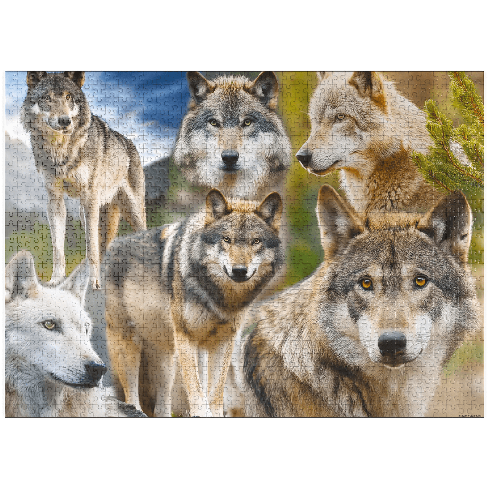 MyPuzzle - Wolf Brothers - Premium 1000 Piece Jigsaw Puzzle for Adults ...