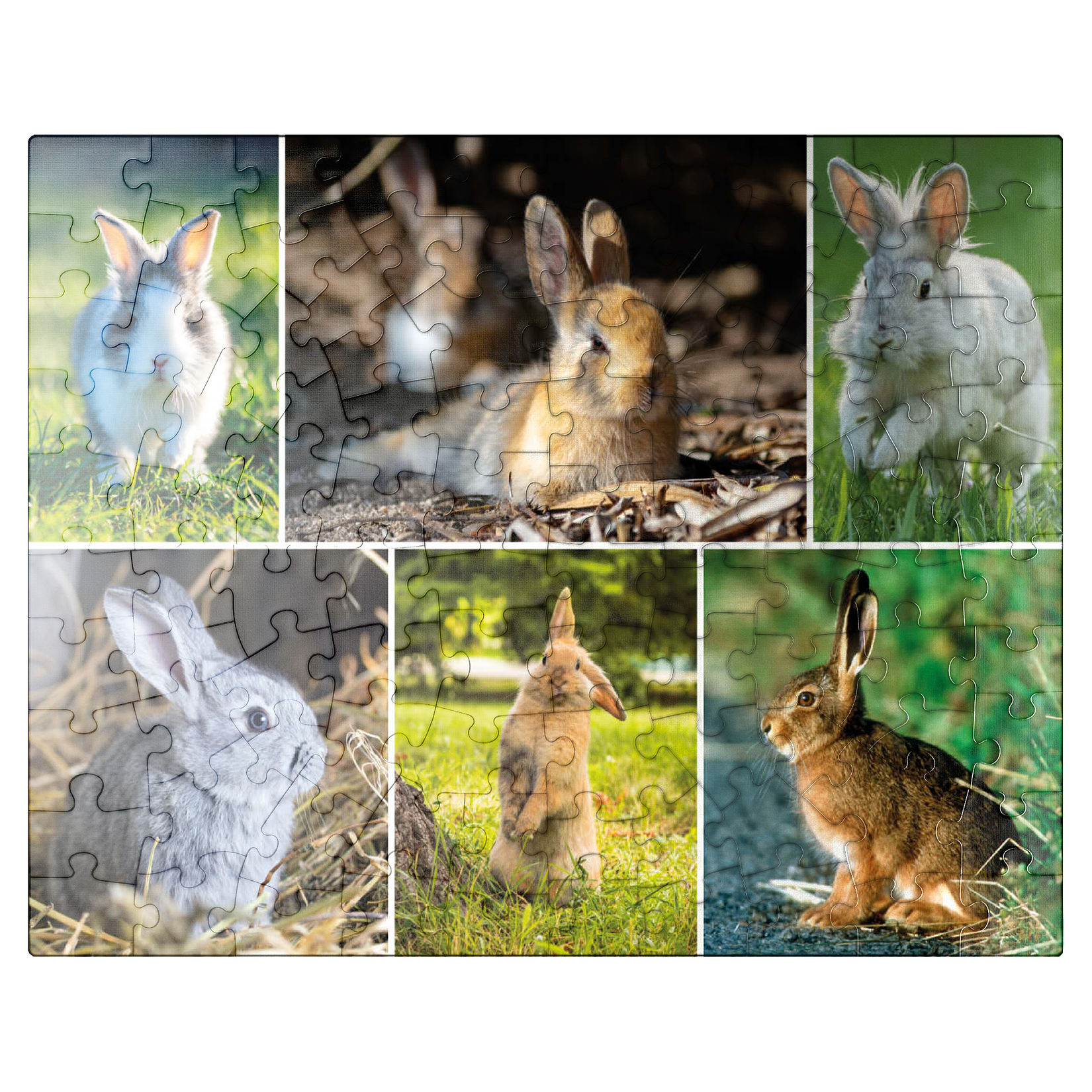 MyPuzzle - Bunnies And Rabbits - Collage No. 2 - Premium 100 Piece ...