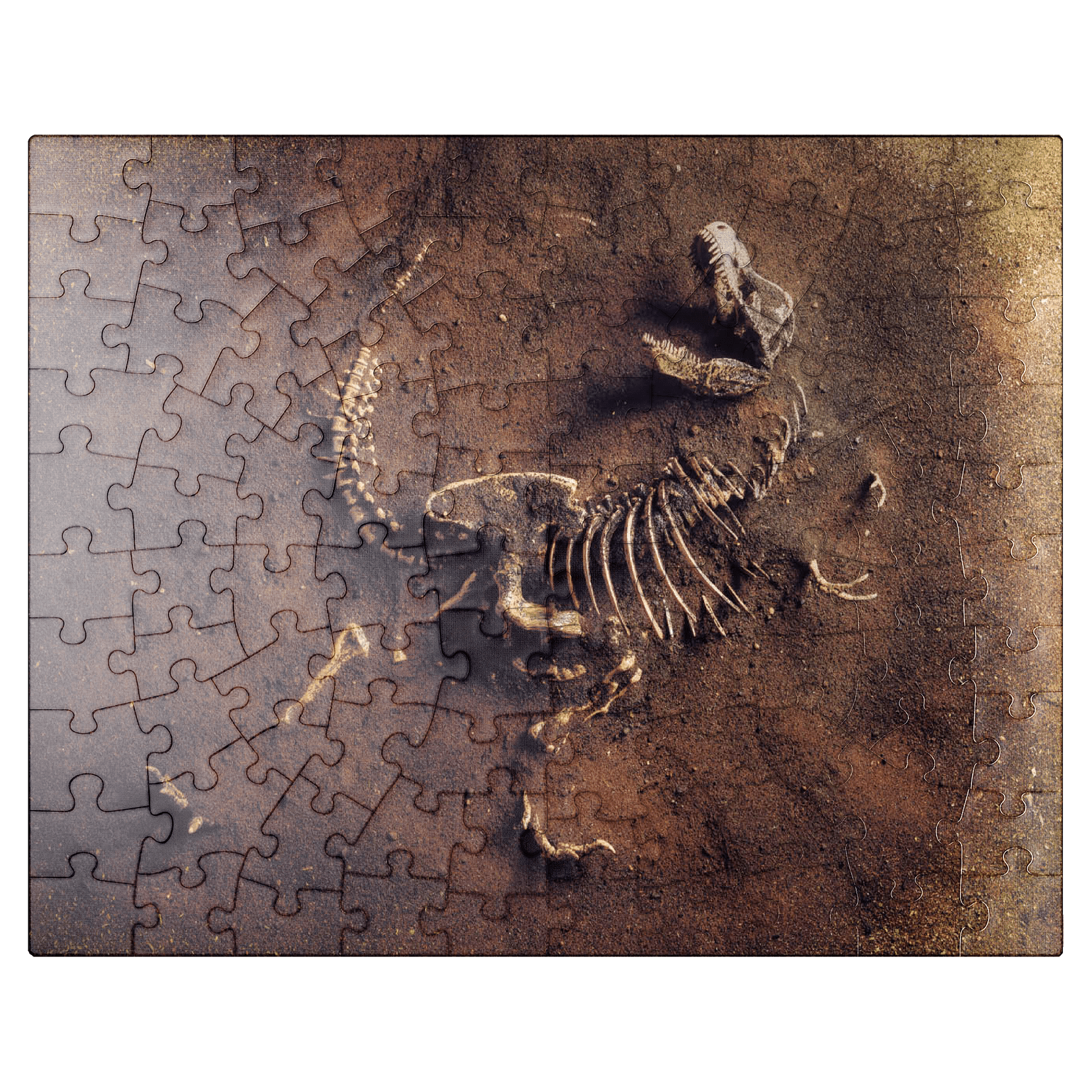 MyPuzzle - Dinosaur Fossil From Archaeologists - Premium 100 Piece ...
