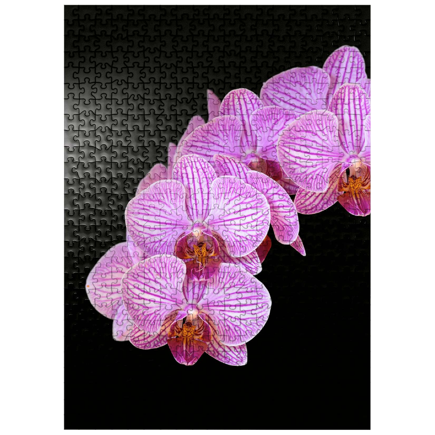MyPuzzle - Orchid Intimacy - Premium 500 Piece Jigsaw Puzzle for Adults ...