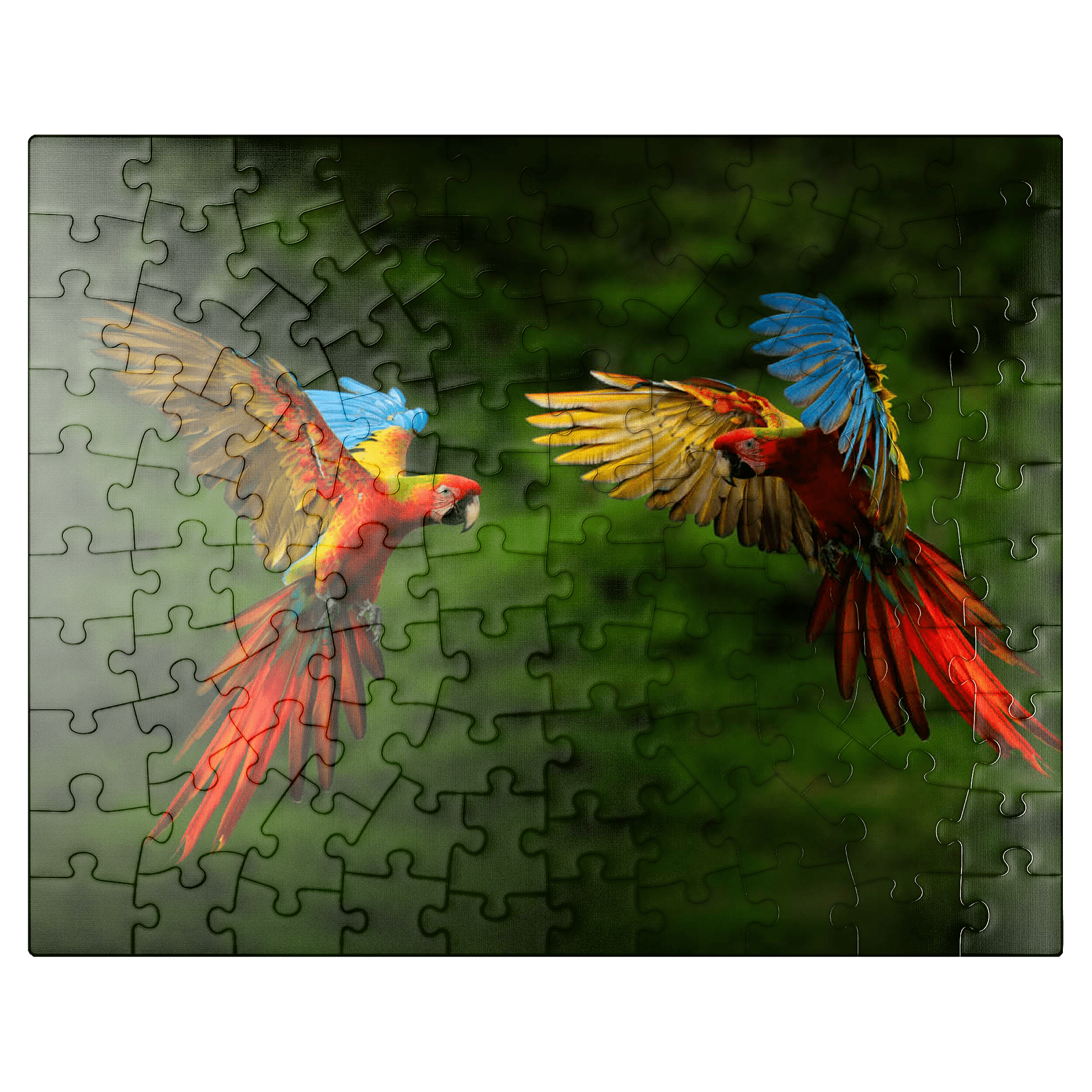 MyPuzzle - Parrots In Forest Parrot Flying In Dark Green Vegetation ...