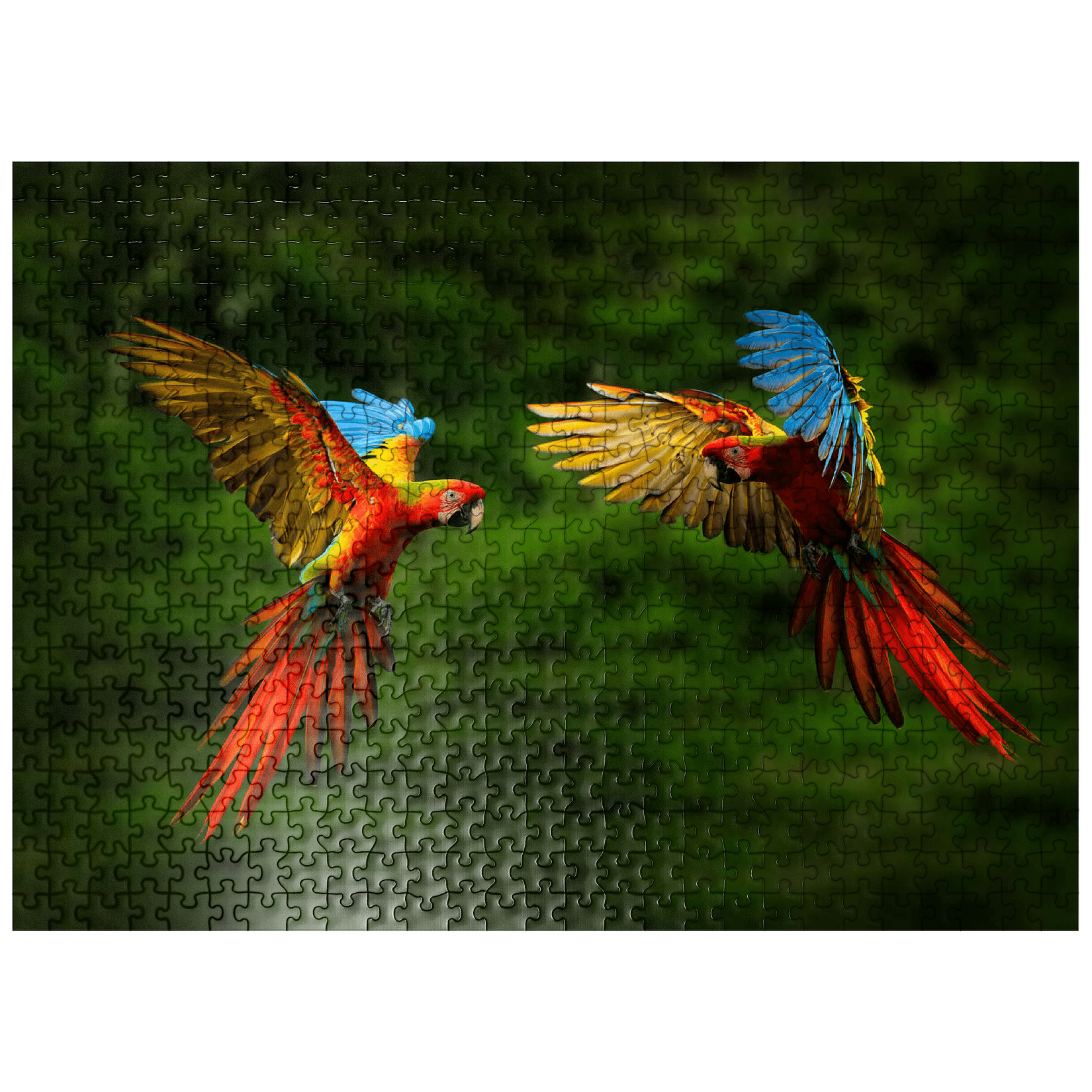 MyPuzzle - Parrots In Forest Parrot Flying In Dark Green Vegetation ...