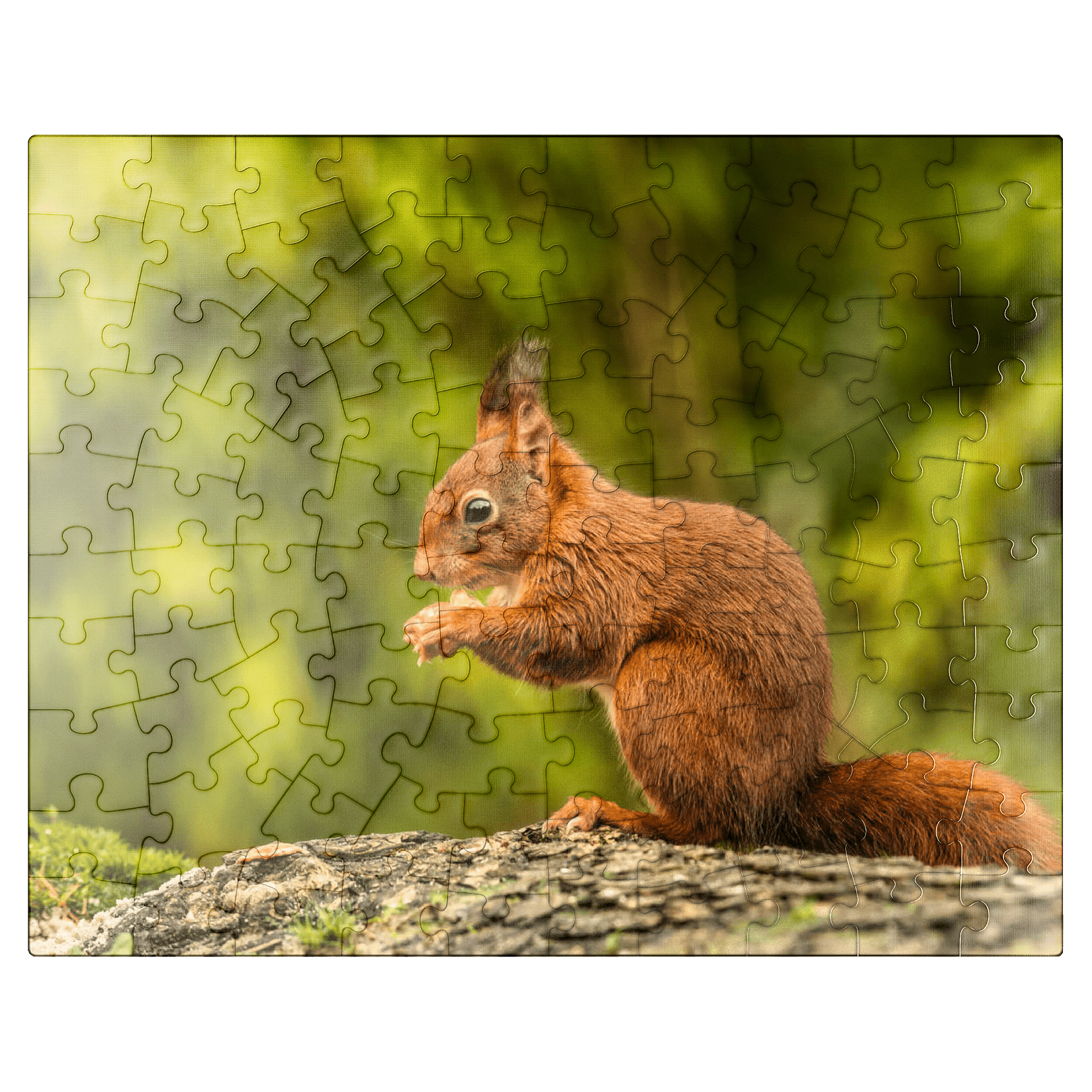MyPuzzle - Red Squirrel Eating A Nut In The Forest - Premium 100 Piece ...