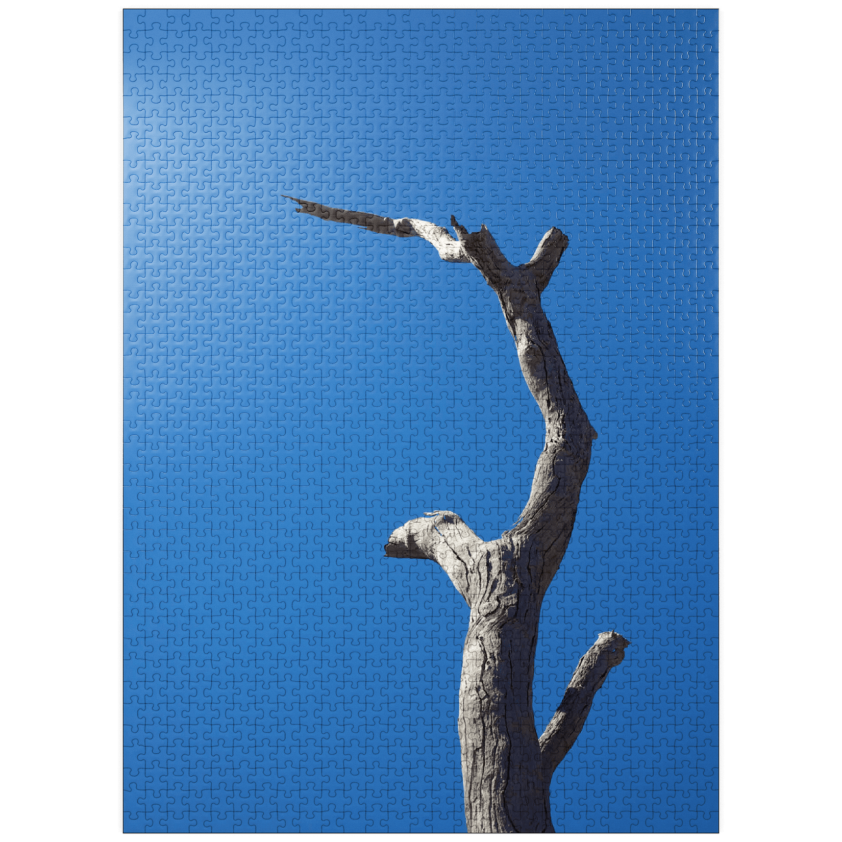 MyPuzzle - Trunk & Sky - Premium 1000 Piece Jigsaw Puzzle for Adults ...