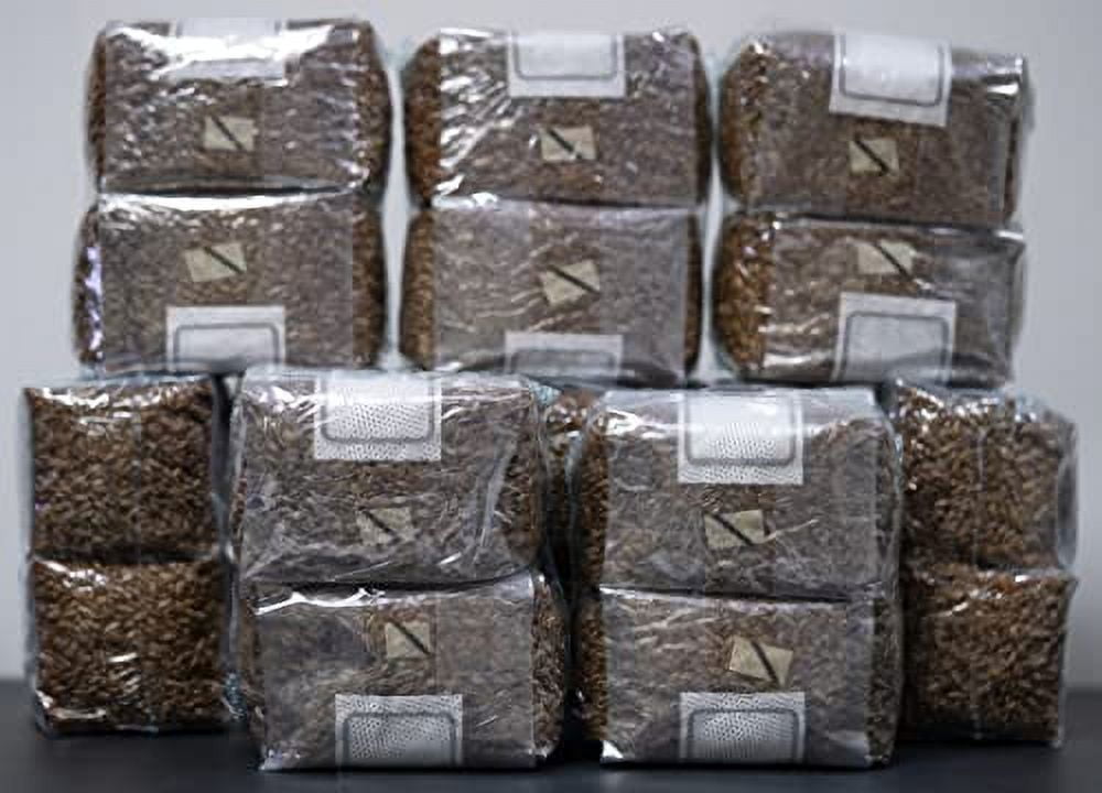 MycoHaus 6 Pack One Pound Injection Port Bags Sterilized Rye Grain ...