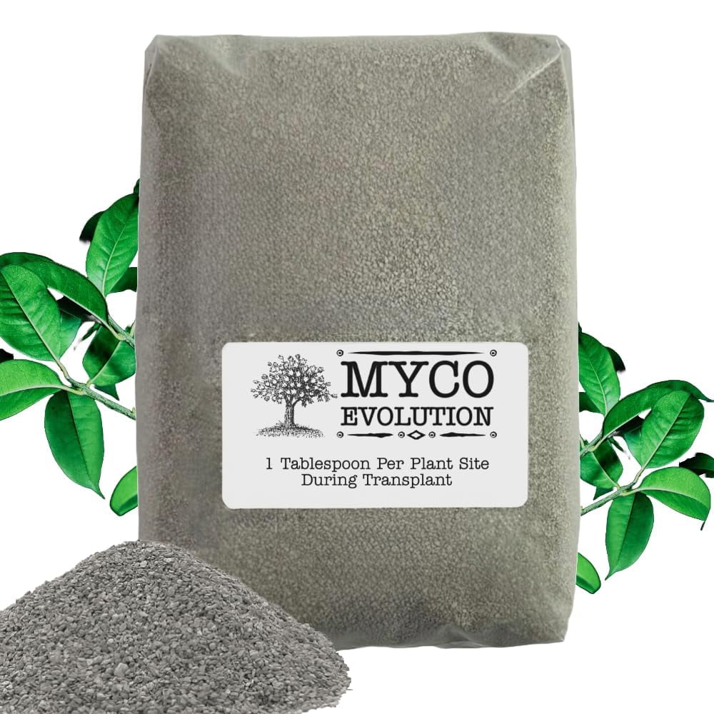 Mycorrhizae Root Fungi Endo Granular - Myco Evolution (5 lb) - Walmart.com