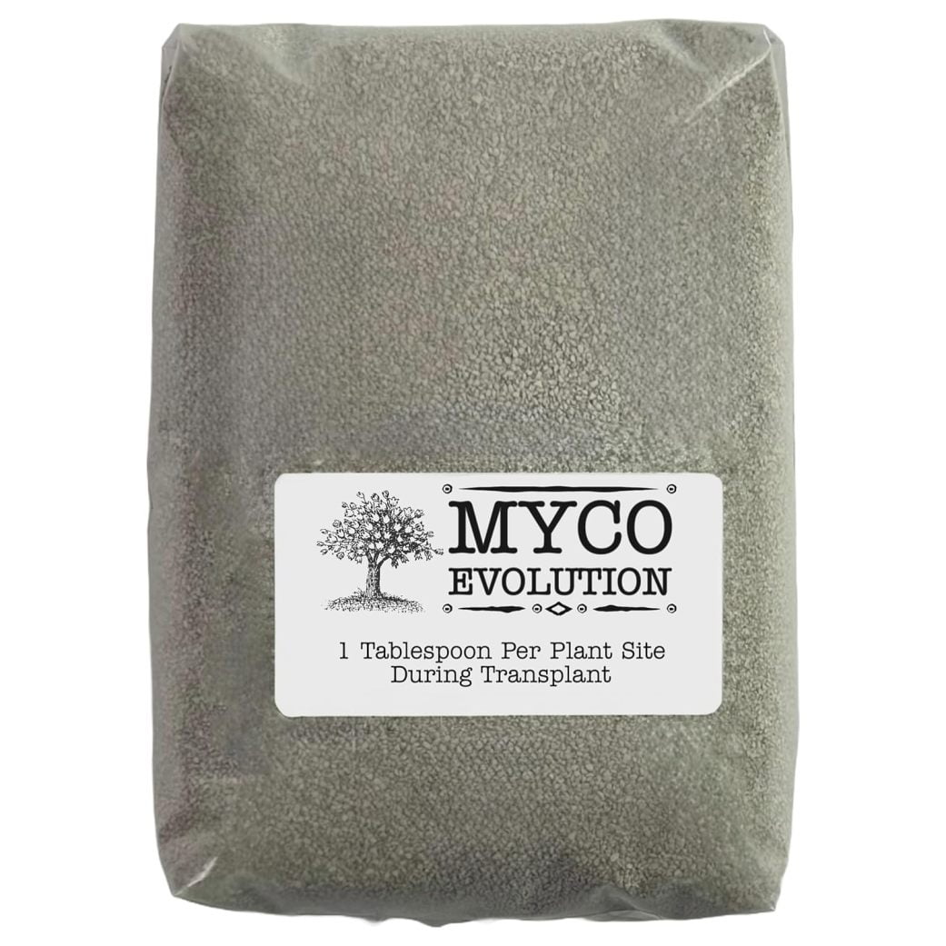 Mycorrhizae Root Fungi Endo Granular Mycorrhizal 134 Spores Mycos Myko ...