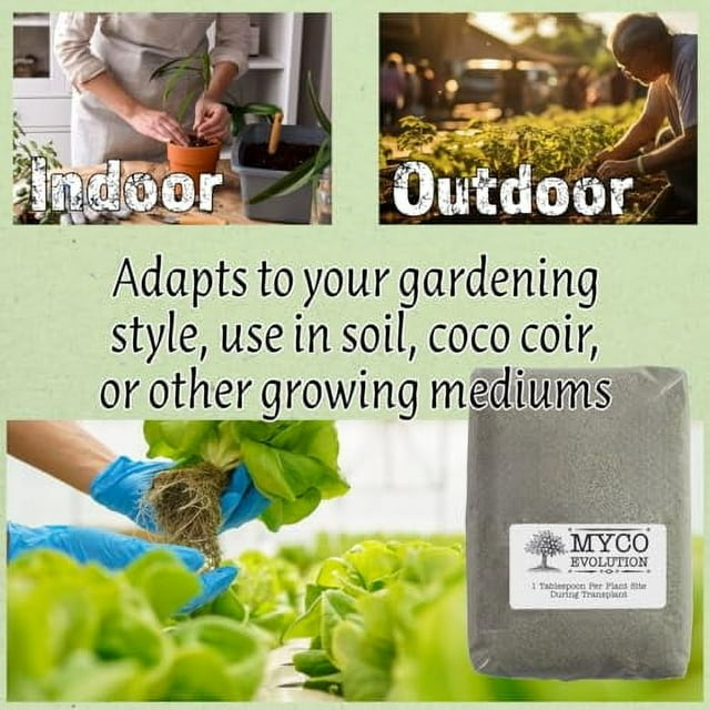 Mycorrhizae Root Fungi Endo Granular Mycorrhizal 134 Spores Mycos Myko ...