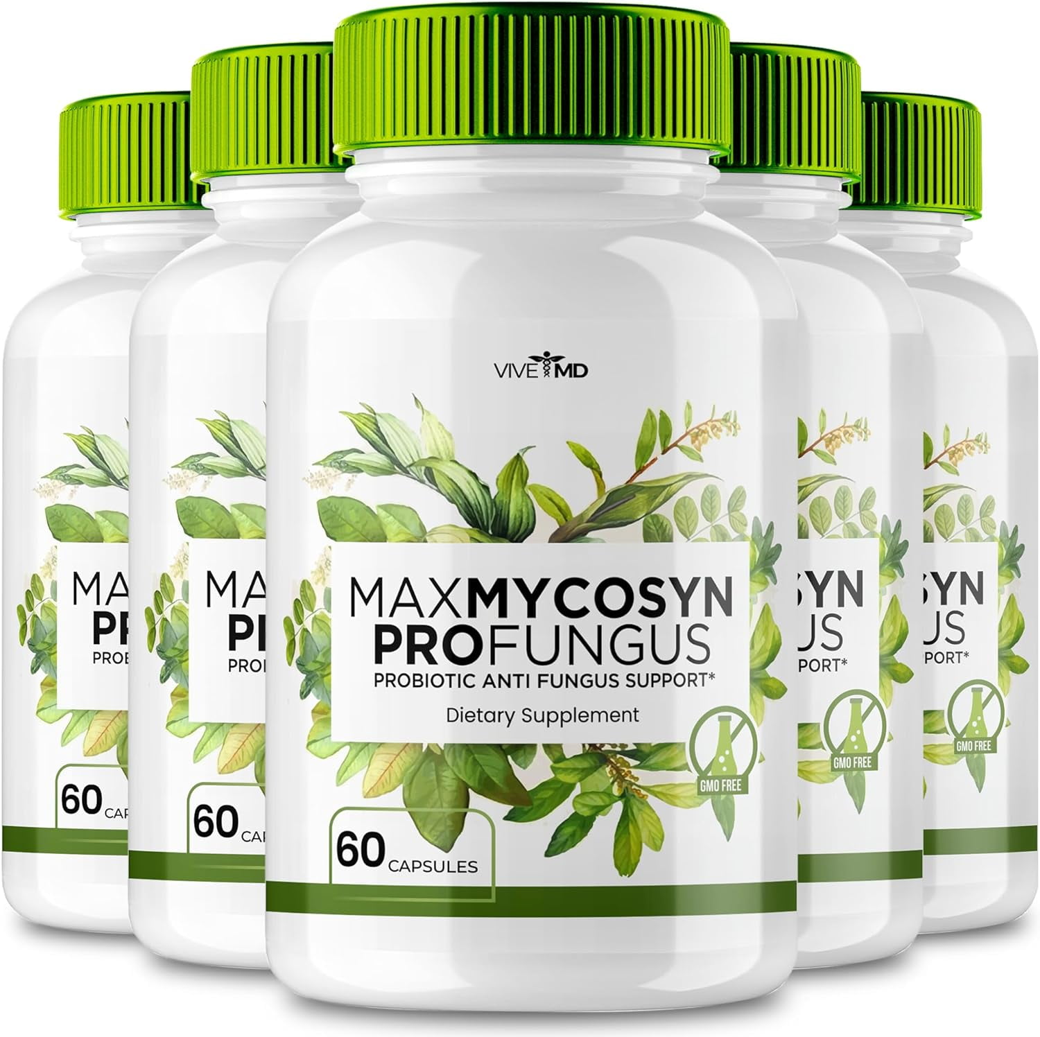 Mycosyn Pro Capsules Probiotic for Men and Women - MycosynPro Probiotic ...