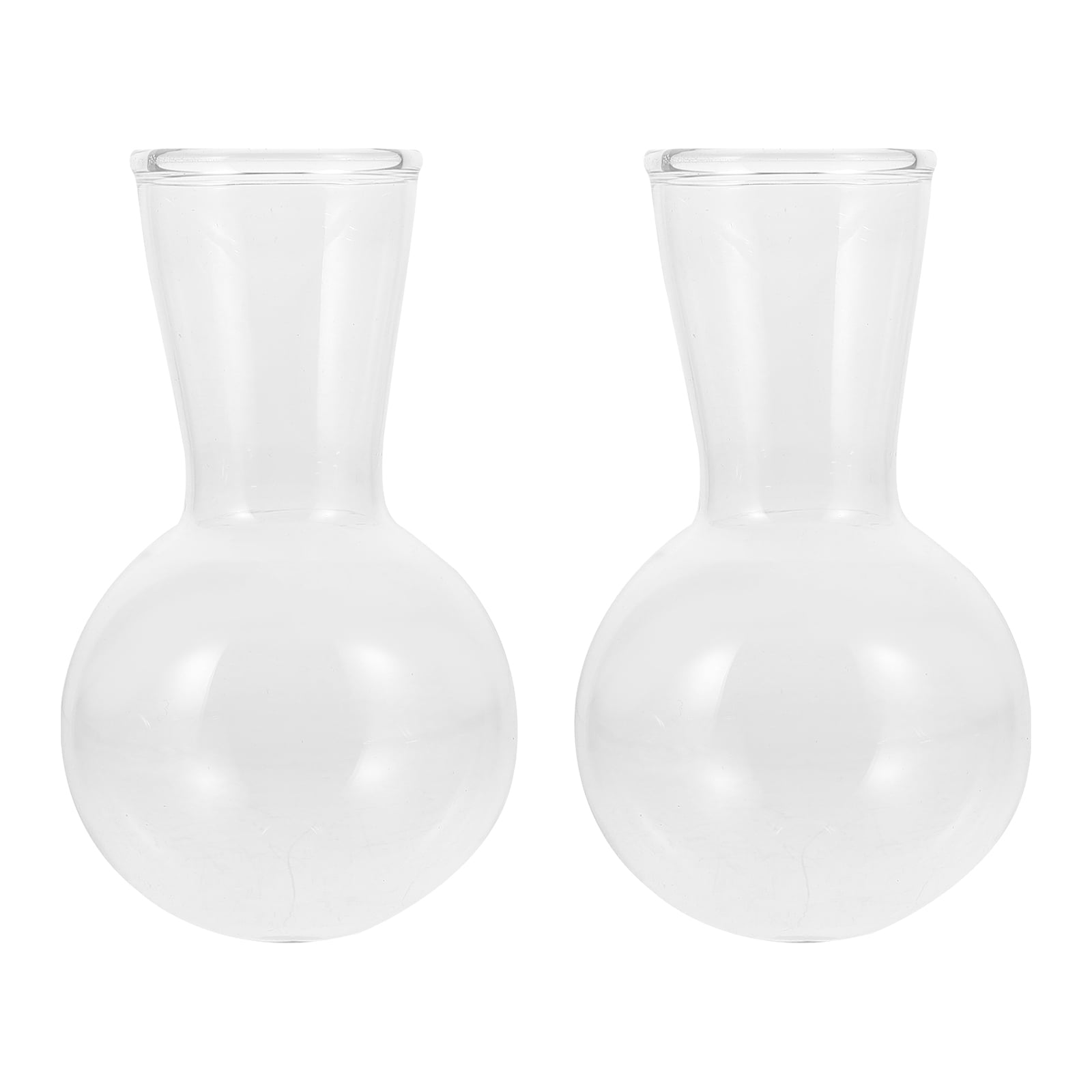 Myenne 2pcs Hydroponic Glass Bottles Garden Glass Bulb Vases Hydroponic ...