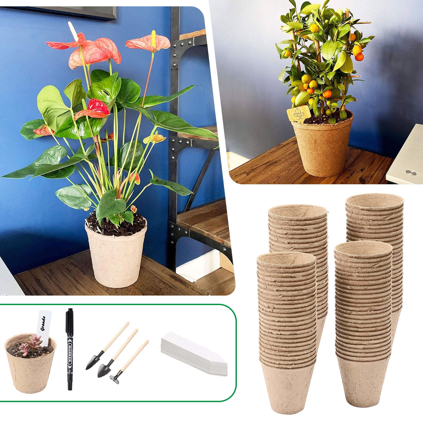 Mynkyll Biodegradable Seedling Kit Pulp Peat Pot Set For Growing Tools ...
