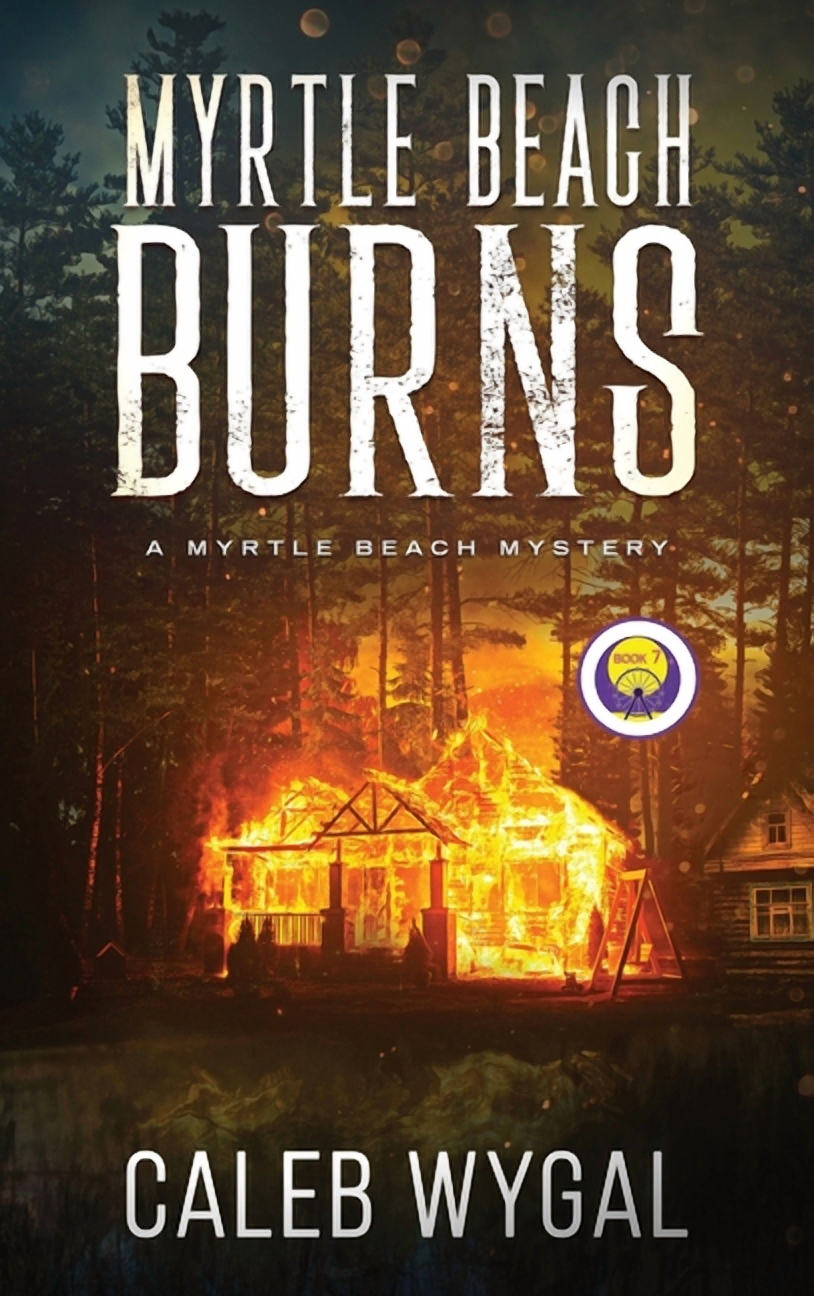 Myrtle Beach Mystery Myrtle Beach Burns: A Myrtle Beach Mystery, Book 7 ...