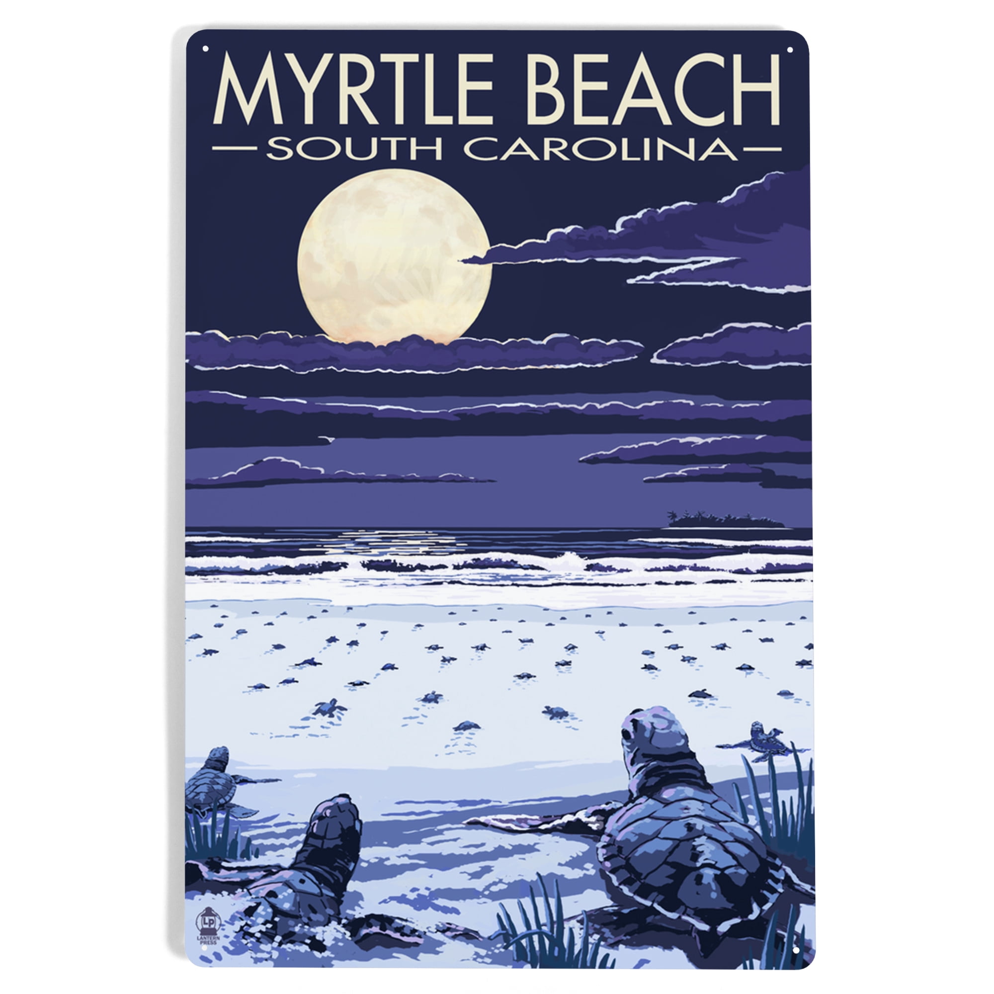 Myrtle Beach, South Carolina, Baby Sea Turtles (12x18 Aluminum Art ...