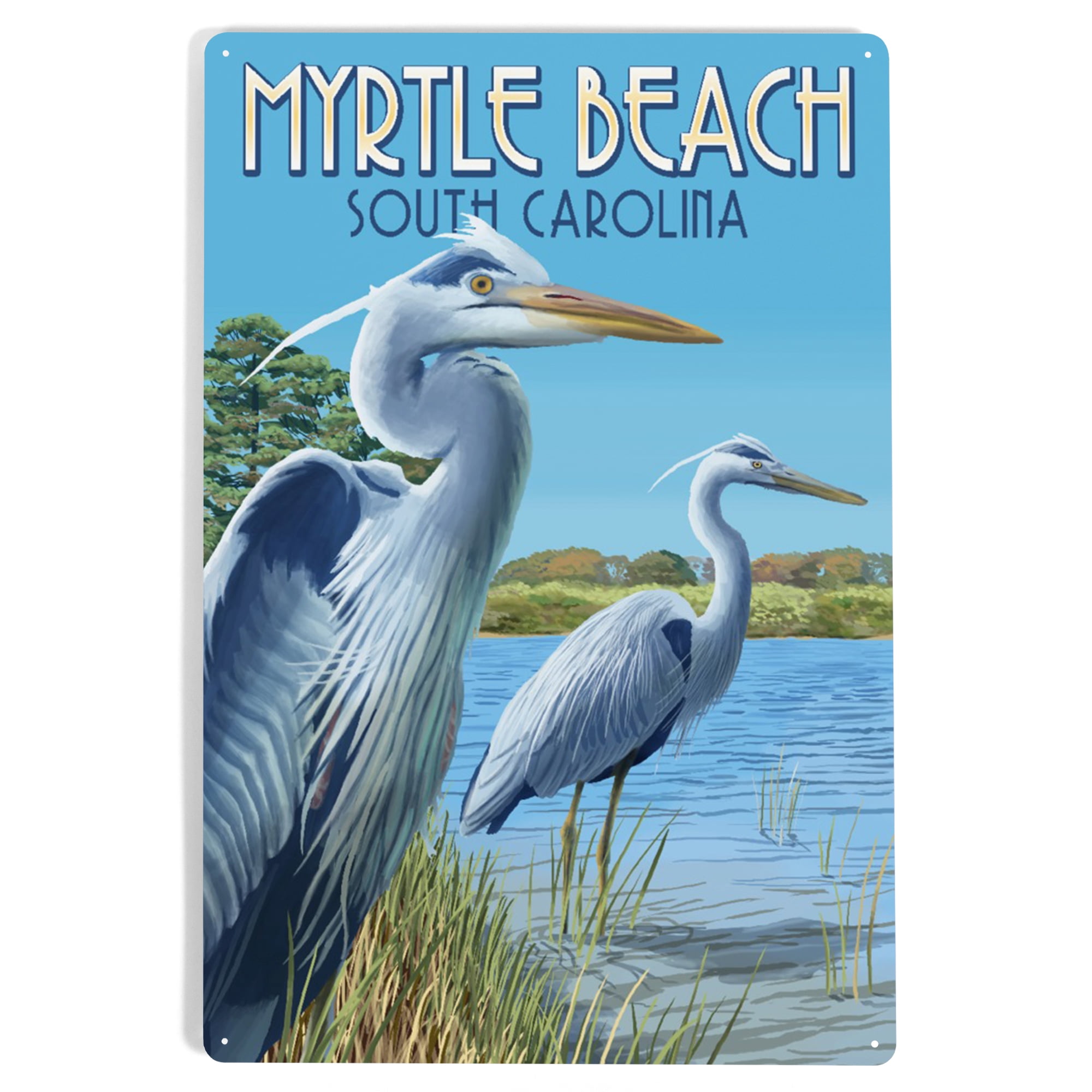 Myrtle Beach, South Carolina, Blue Herons (12x18 Aluminum Art, Indoor ...