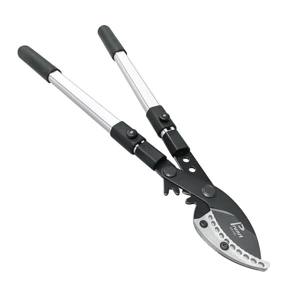 Extendable Tree Loppers