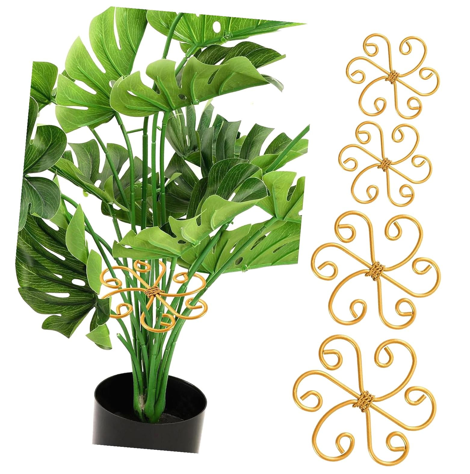 Myst Design 4 Pcs Plant Support, Metal Holders for Indoor Monstera and Other Climbing Plants for ...