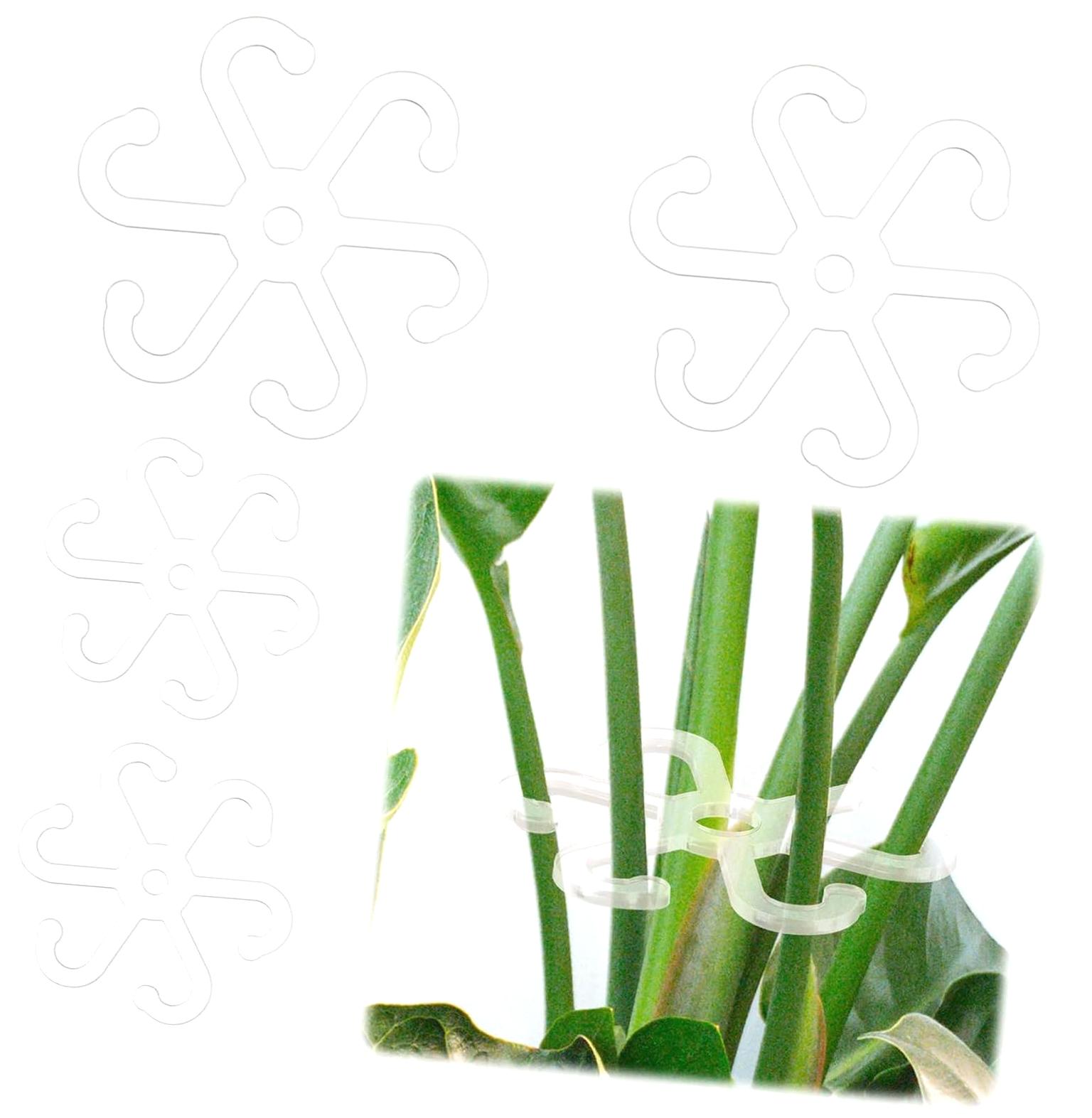 Myst Design 4pcs Climbing Houseplant Supports with Holes, 2 Sizes Plant ...