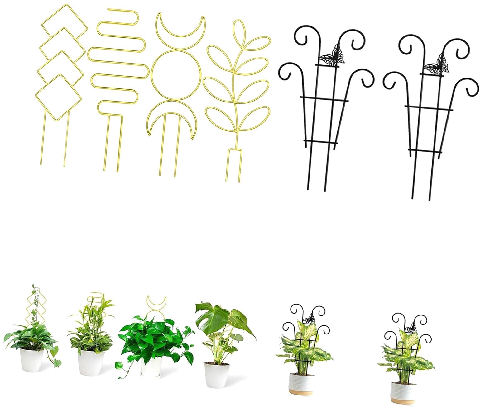 Myst Design 6(Six) Plant Structures for Indoor Use, Including 4(Four ...