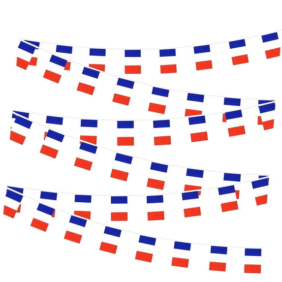 Myst Design France French Small String Banner Flags France Banners For ...