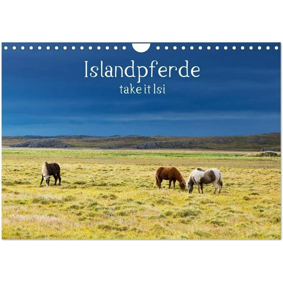 Myst Design Islandpferde take it Isi, US-Version (Wall Calendar 2026 DIN Landscape), 12 Month ...