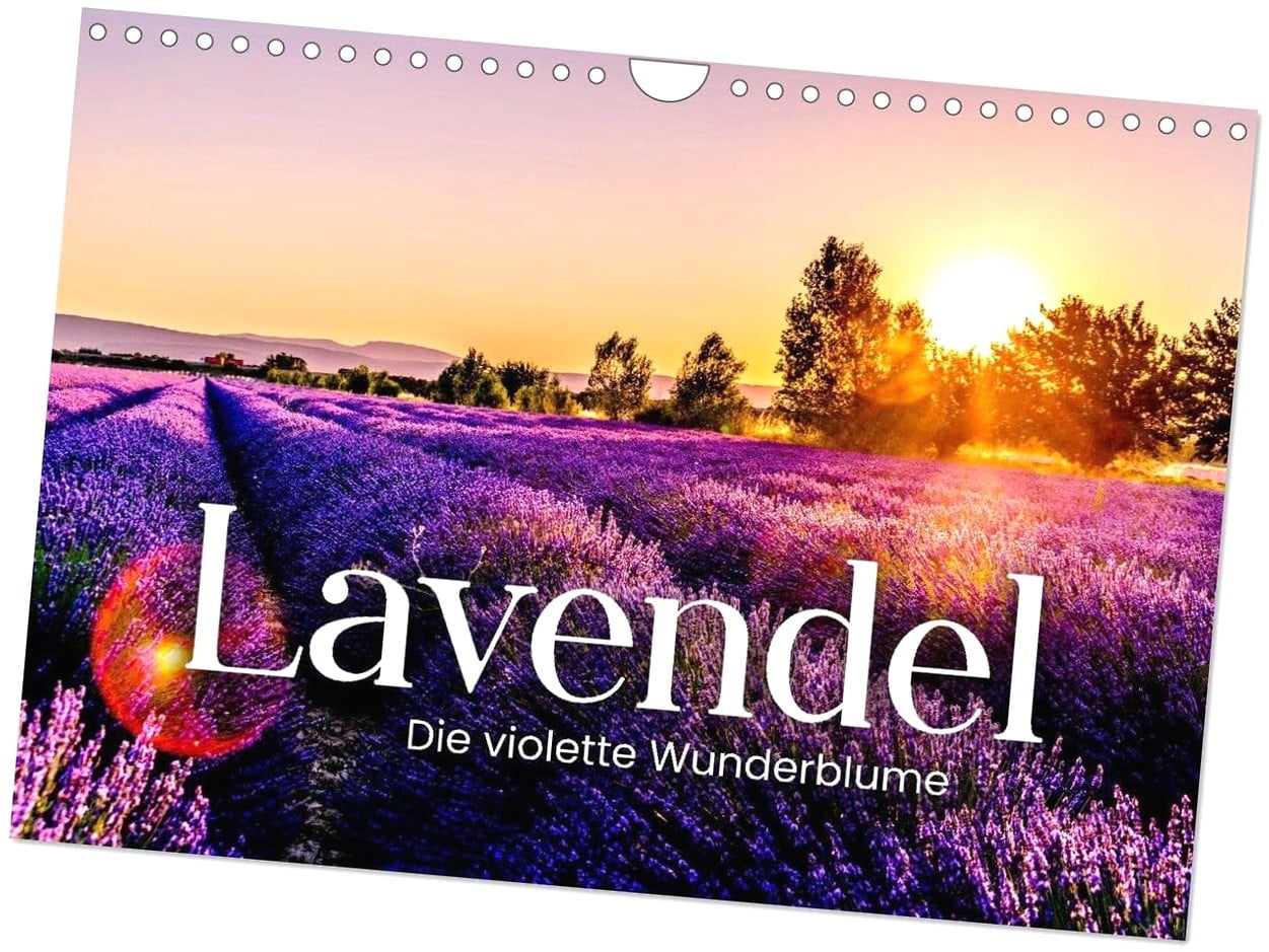 Myst Design Lavender , US-Version (Wall Calendar 2026 DIN Landscape ...