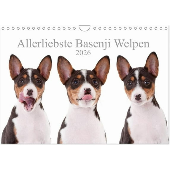 Myst Design Most adorable Basenji puppies 2026, US-Version (Wall ...